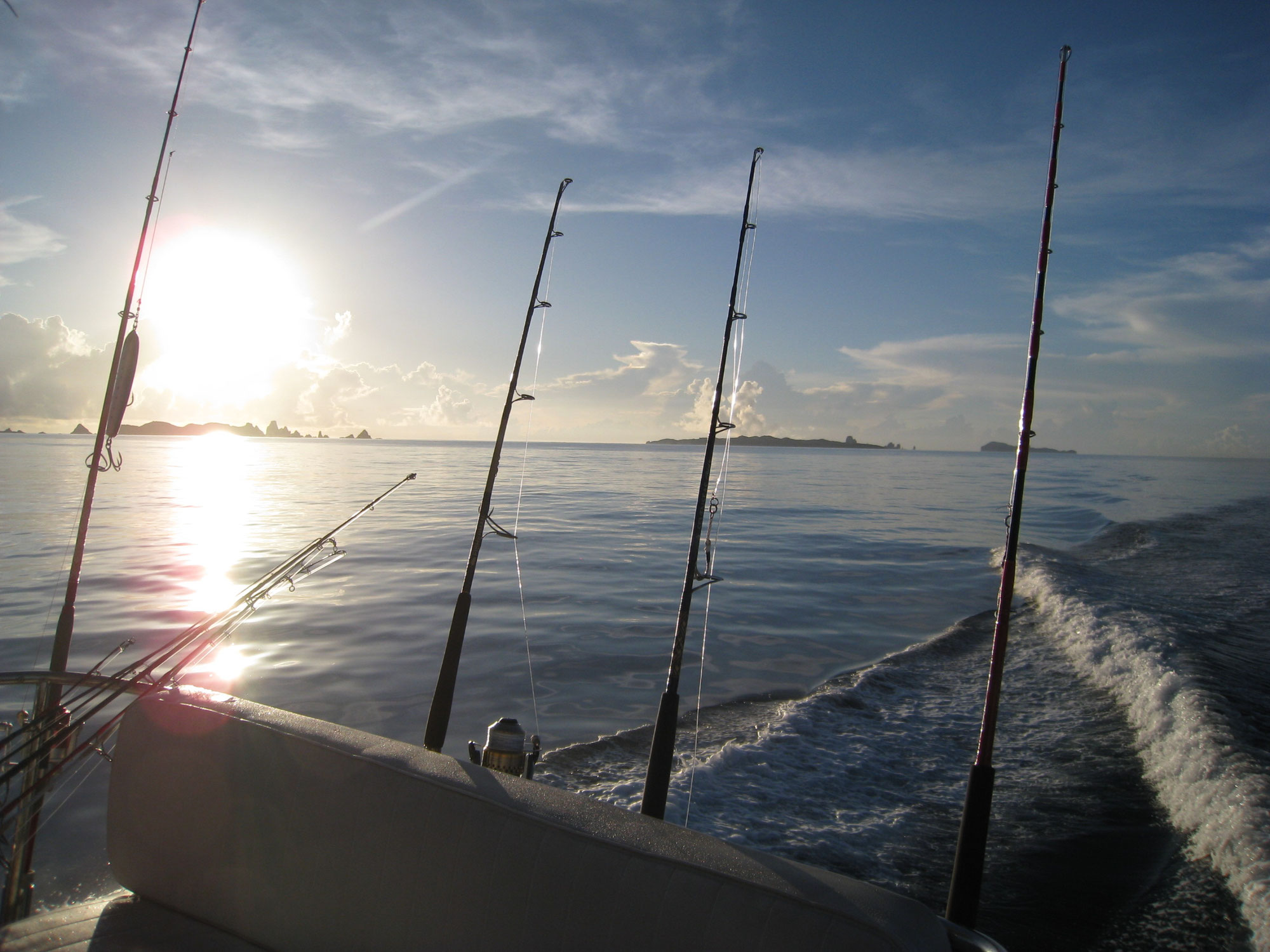 トップページ - POCO FISHING STUDIO 小笠原