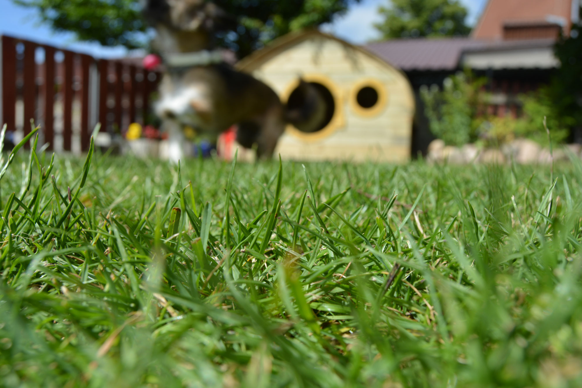 Kita-Anmeldung - Ev. Regenbogenkindergarten Trittau