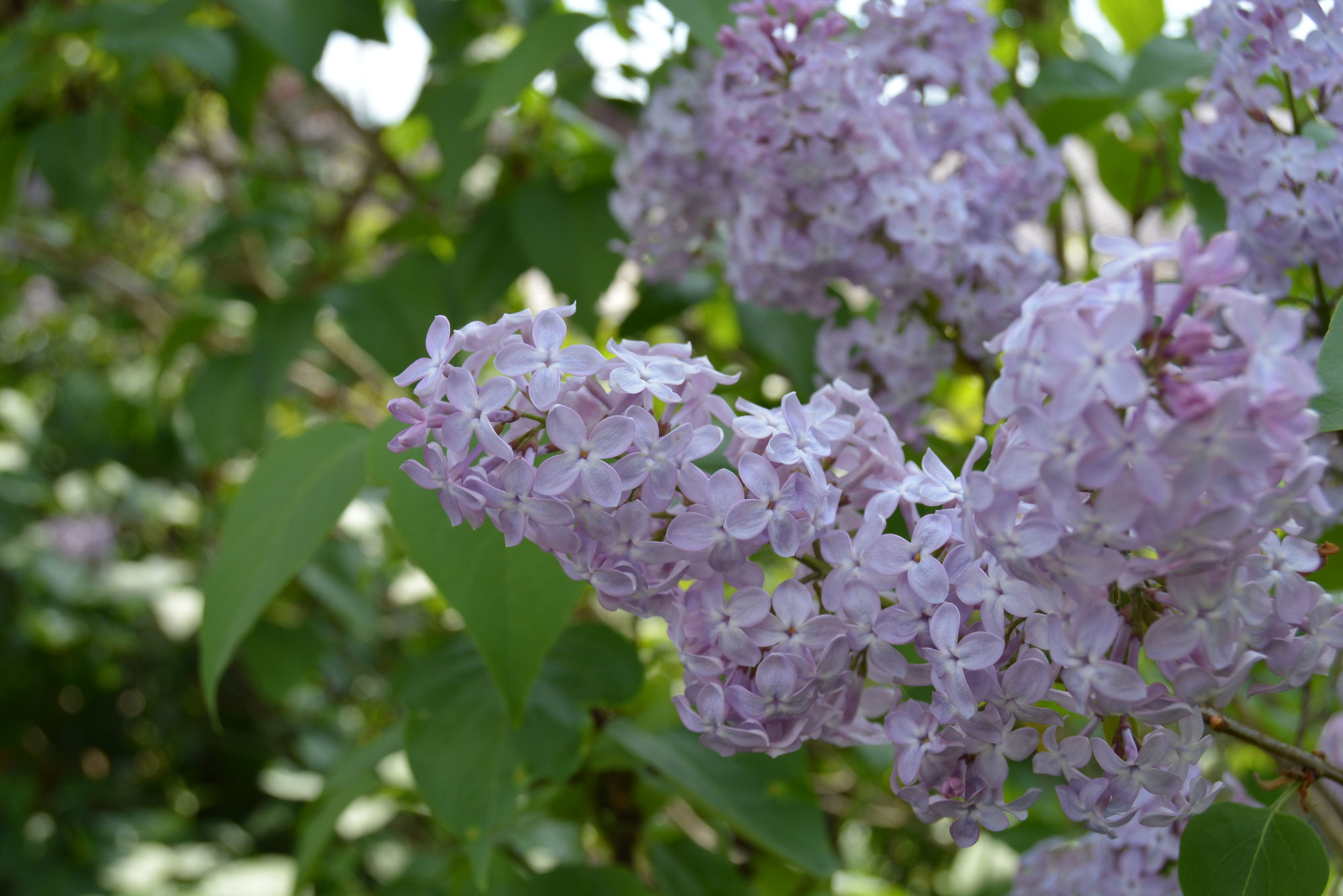 Weihnachtsandacht - Ev. Regenbogenkindergarten Trittau