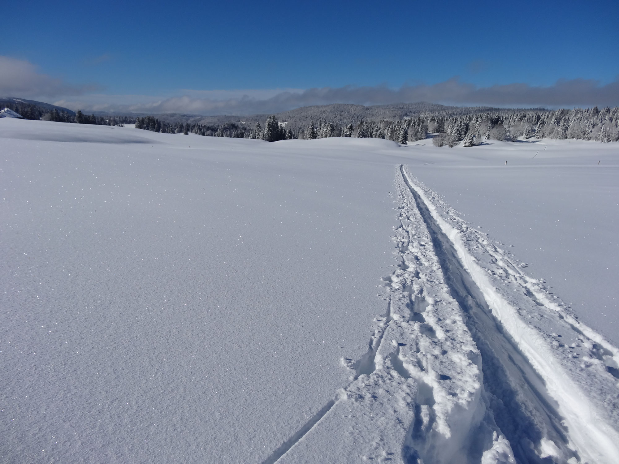 L'ESPRIT "ski de rando nordique" - Site de skiderandonordique-jura