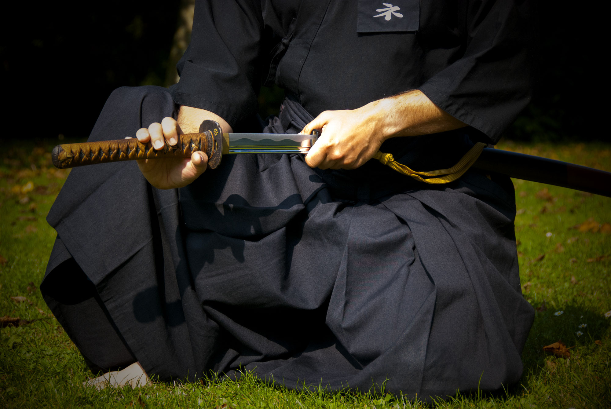 Origines et Histoire du Mugai Ryu - mugairyufrance ページ！