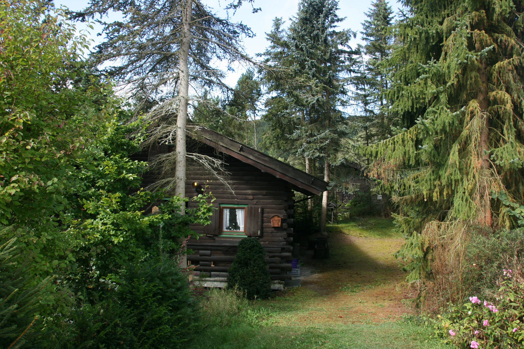 Wat leuk dat je komt! - De website van dasblockhausinwinterberg!