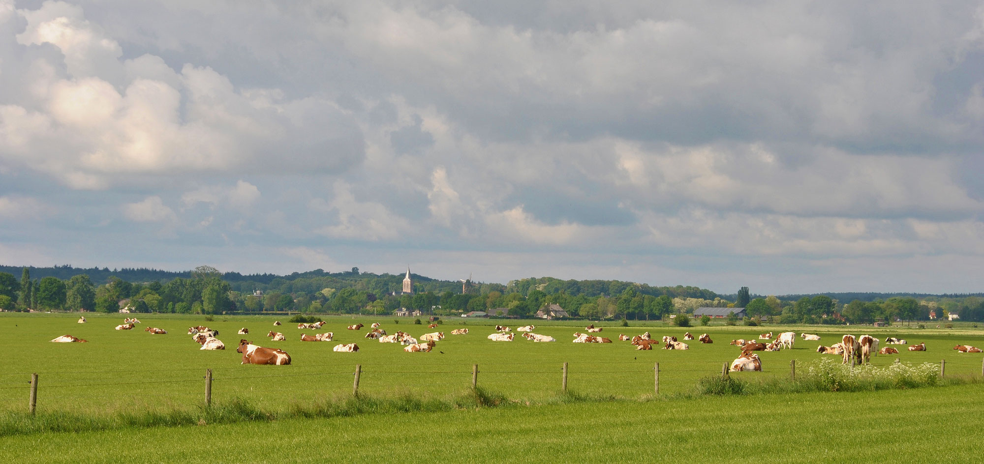Stichting Montferland Cultuurfonds - Montferland Cultuurfonds