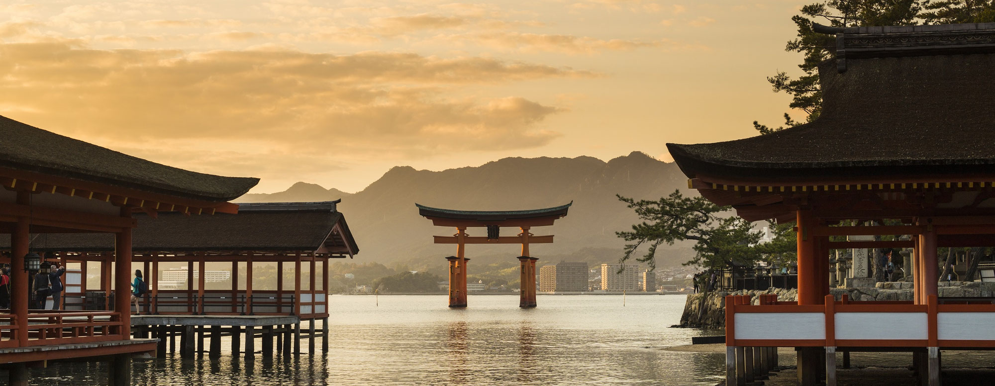 Home - Chris Earnshaw: Author