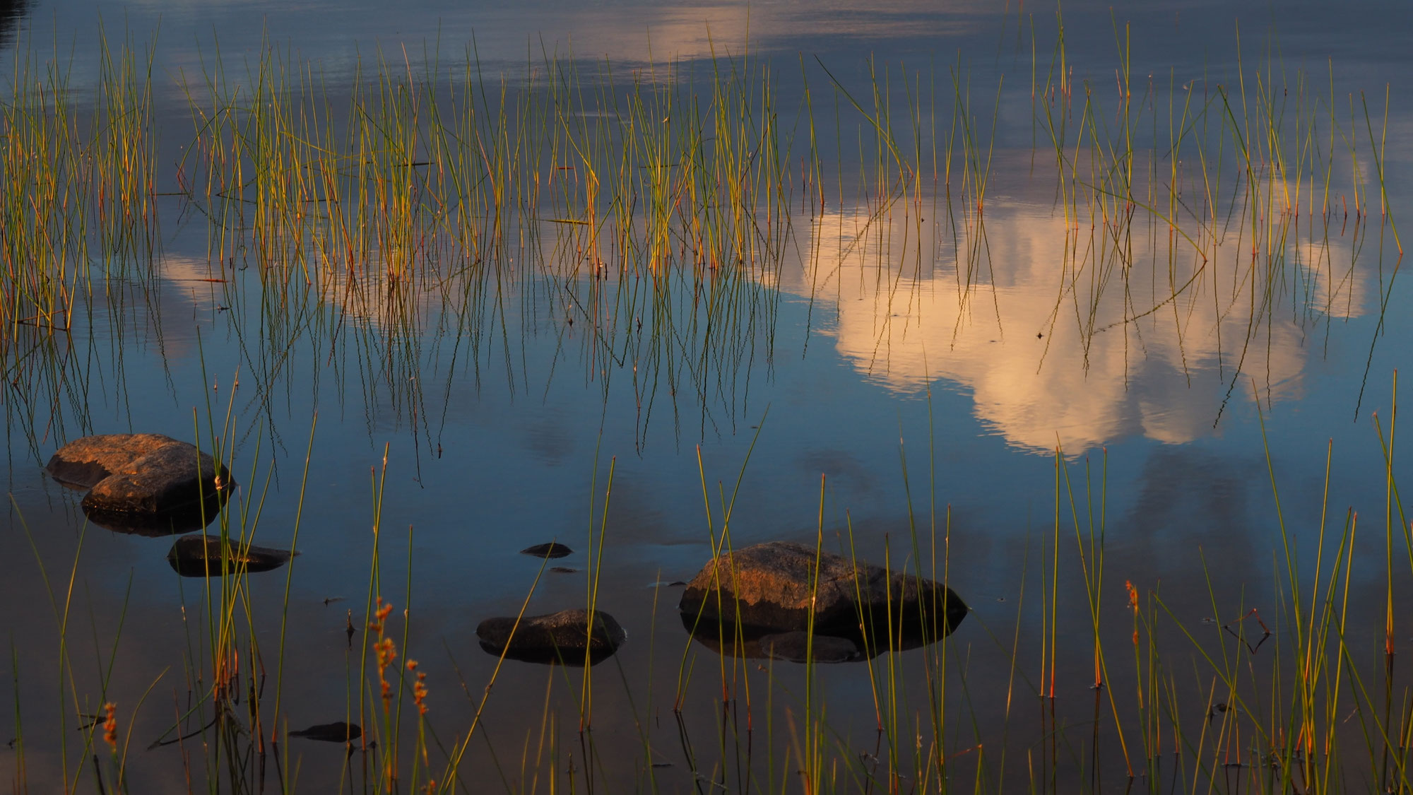 Welcome at the Captain´s Den - The Captains Den_Cottage Molega Lake