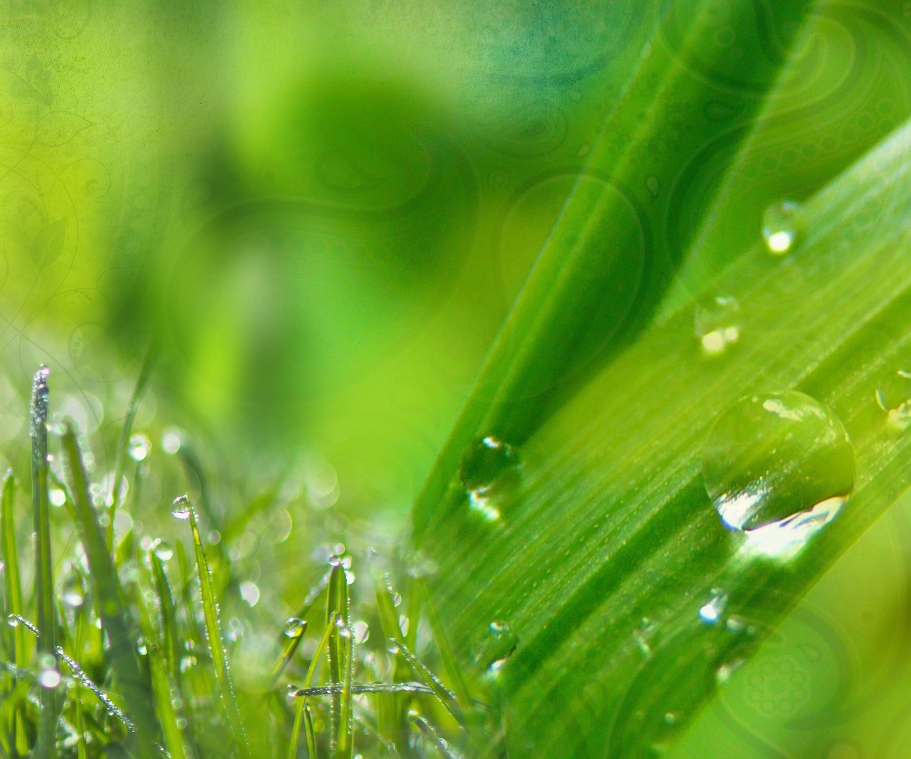 Barbara Geisler - Individuelle Psychotherapie in Karlsruhe