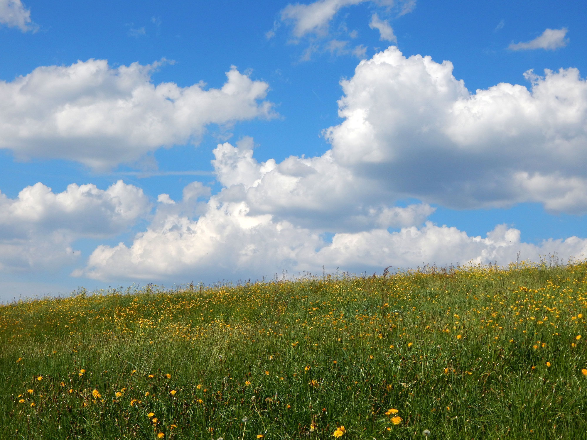Personal Trainer ZH - nature-trail-workouts Webseite!