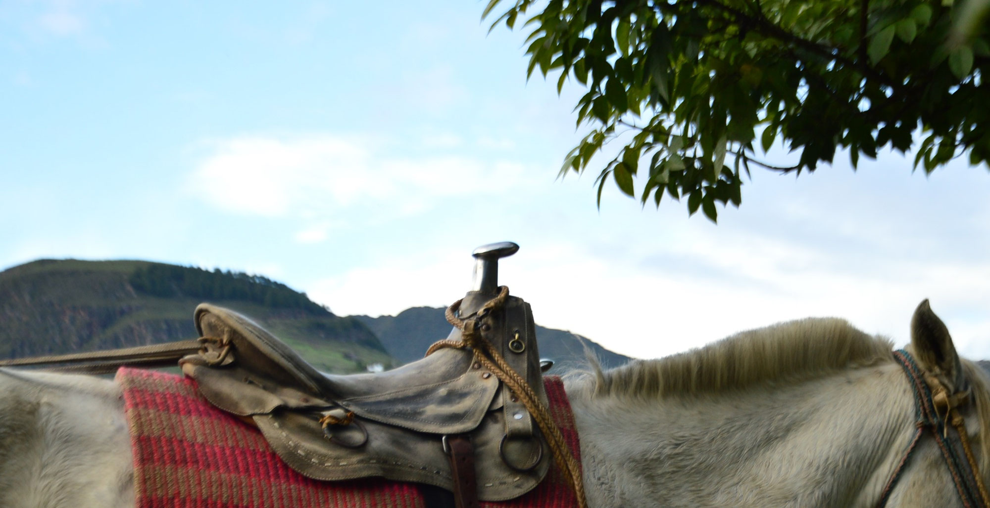 Chachay - Aventuras en Latin America