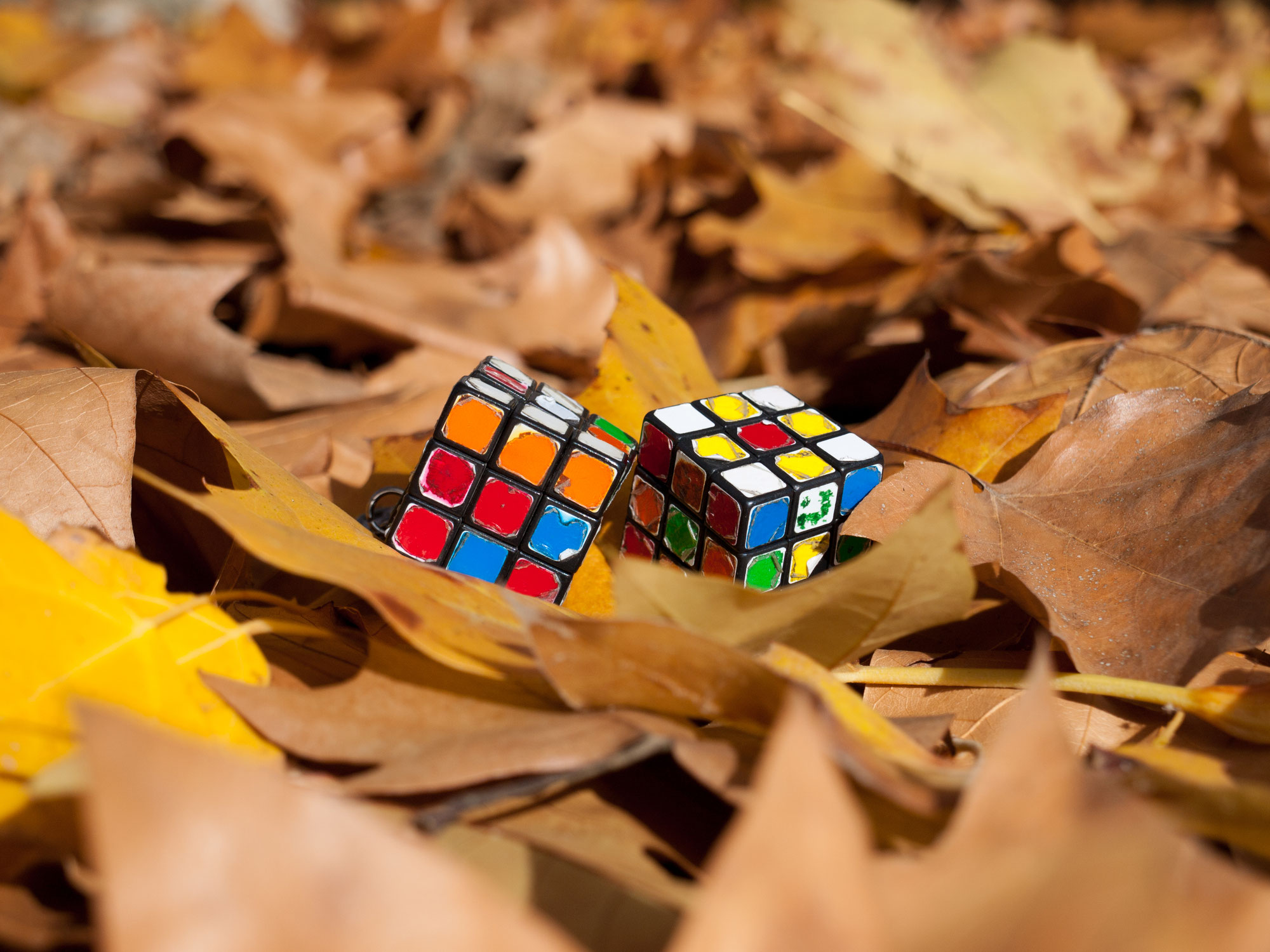 Series y cubos de Rubik - Ibero Rubik