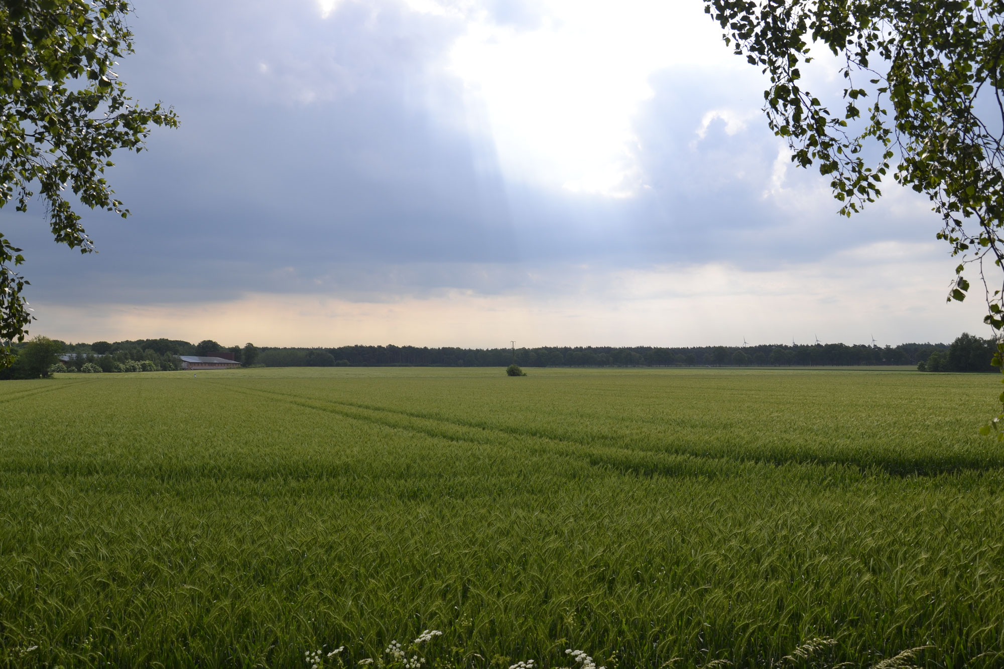 Über Uns - Hof-Schwering