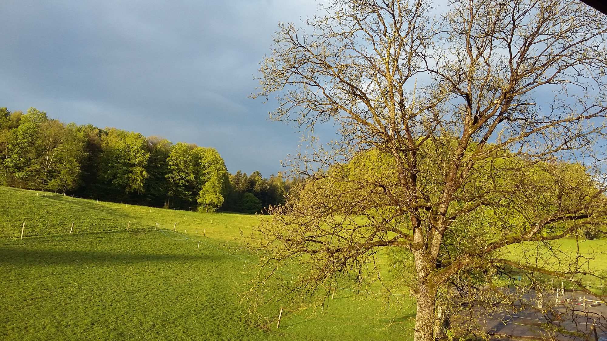 Leander - dobeggs Webseite!