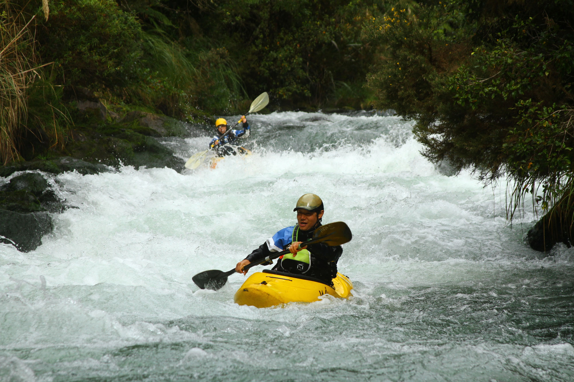 Kayak Rentals - kaitunakayaks