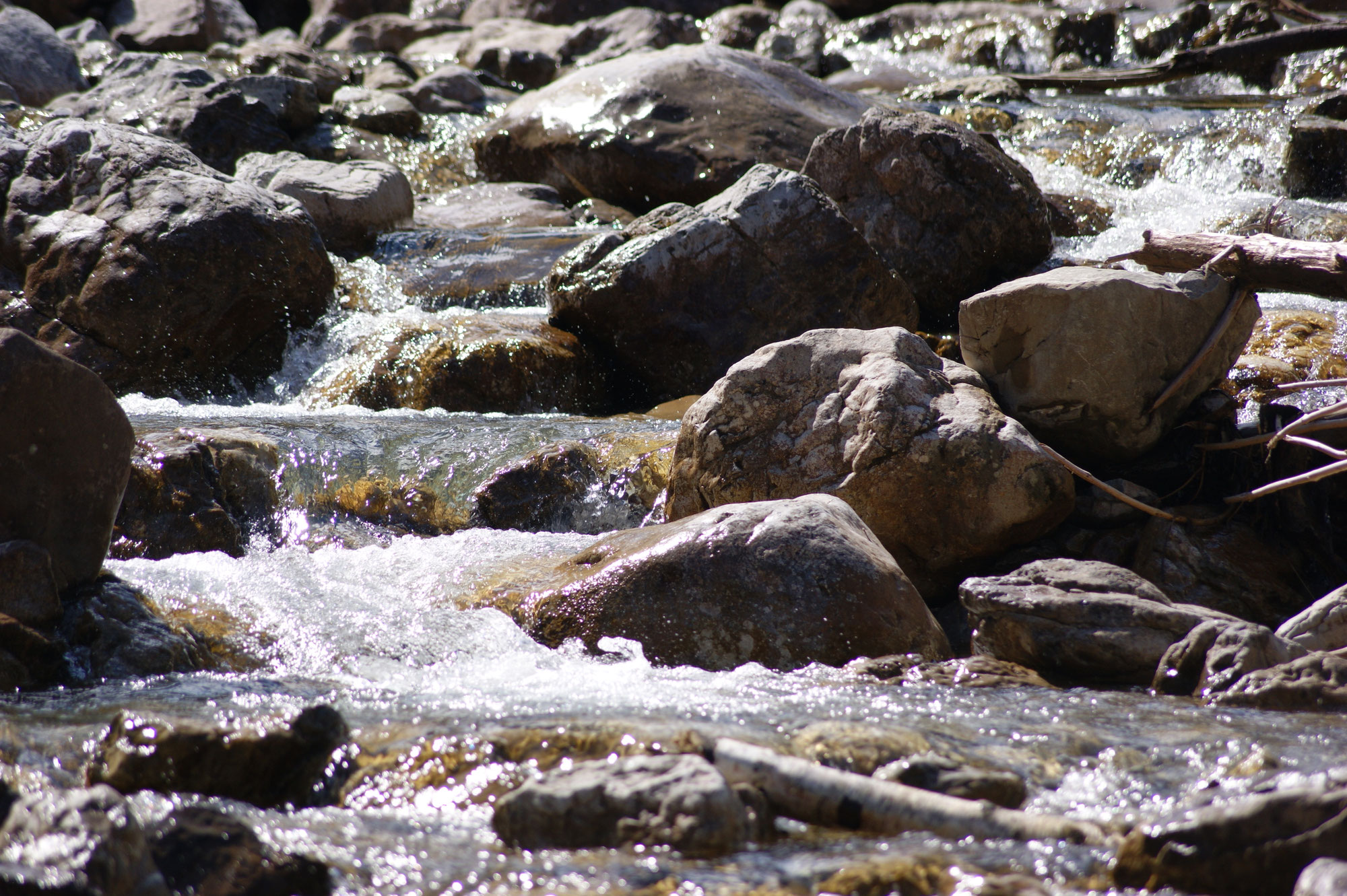 Markus van de Weyer - van-de-weyers Webseite!