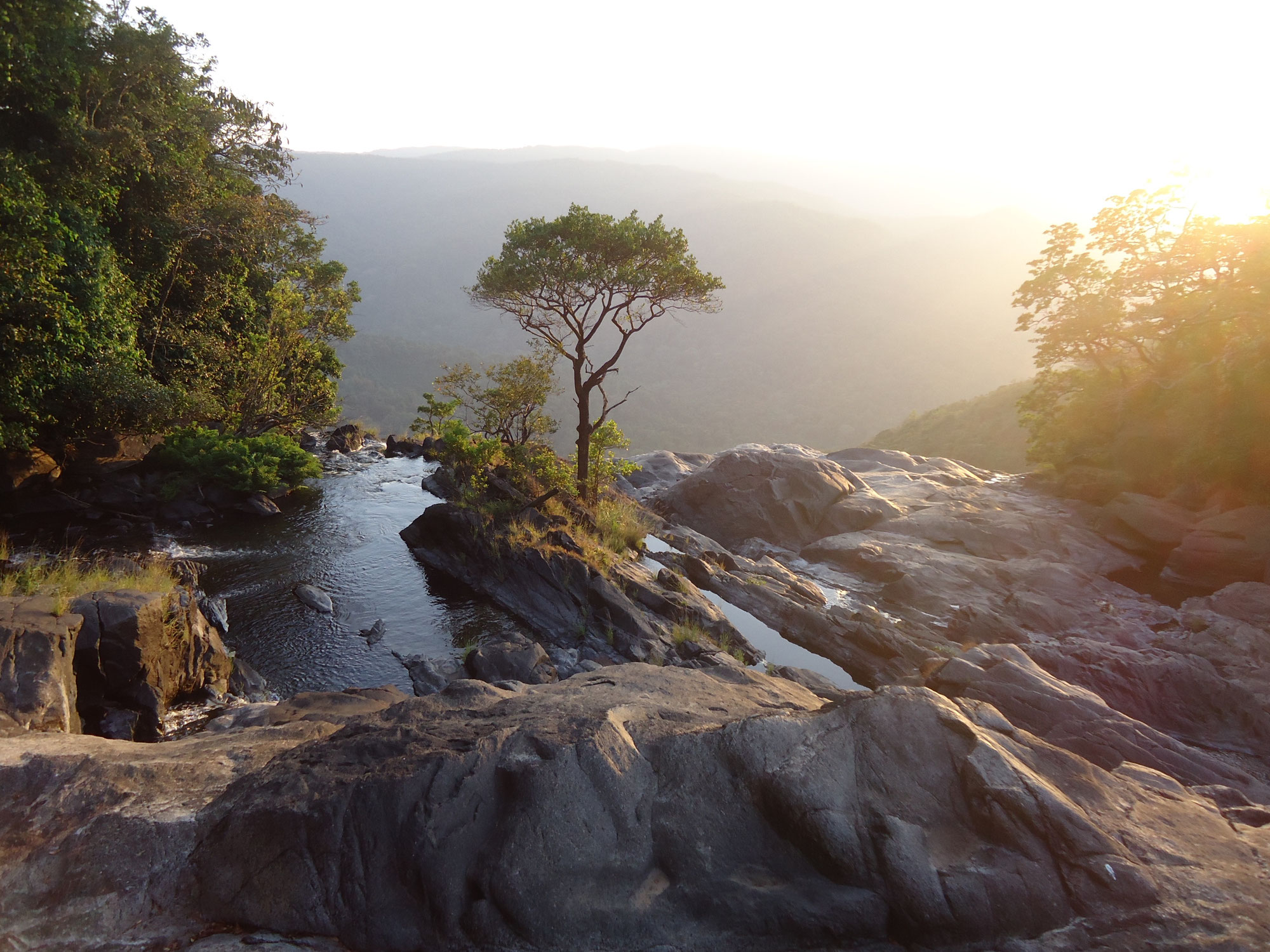 sushumna - ida - pingala - YogaShanty