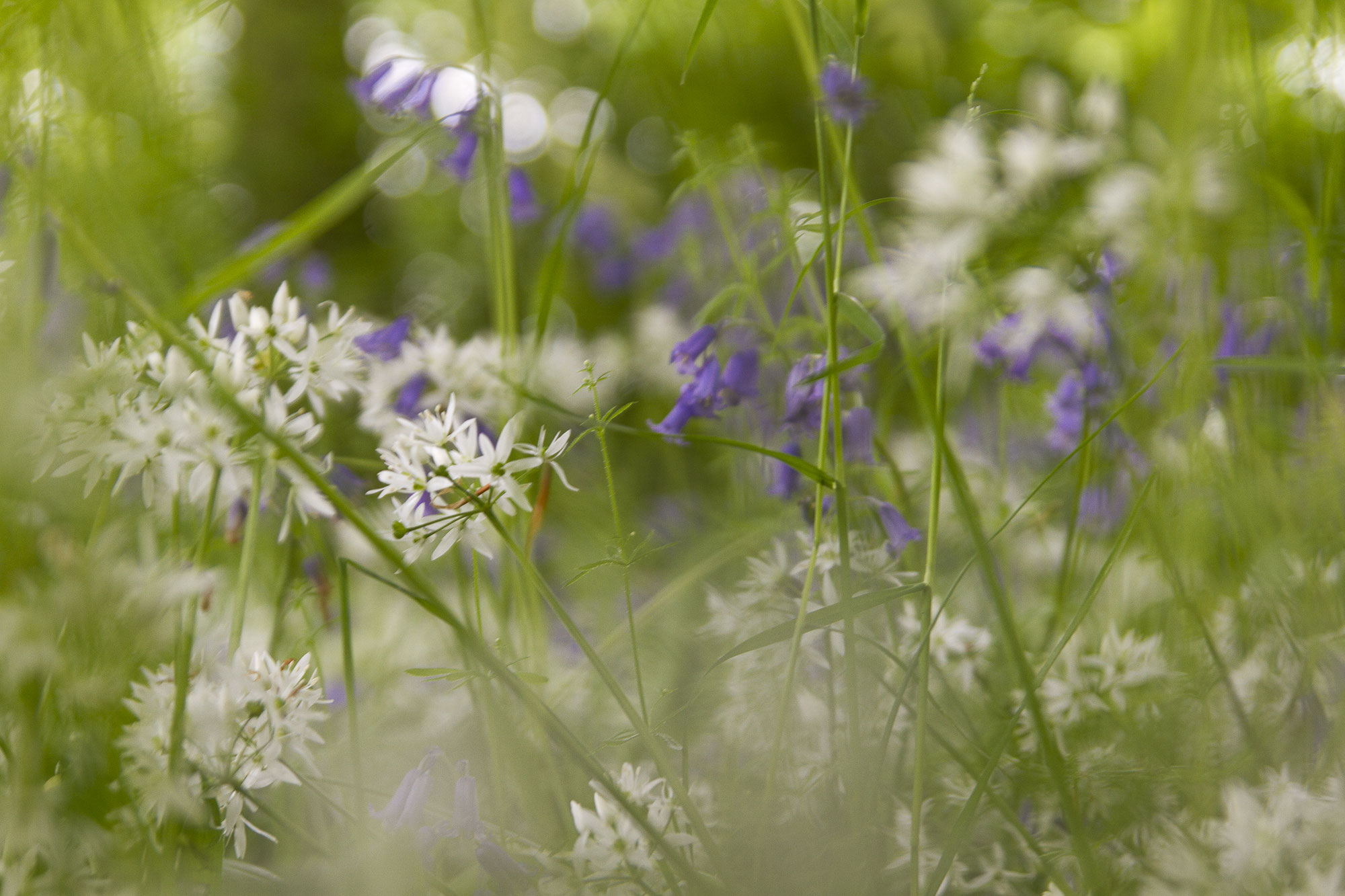 Petite Plaisance - Musee Marguerite Yourcenar