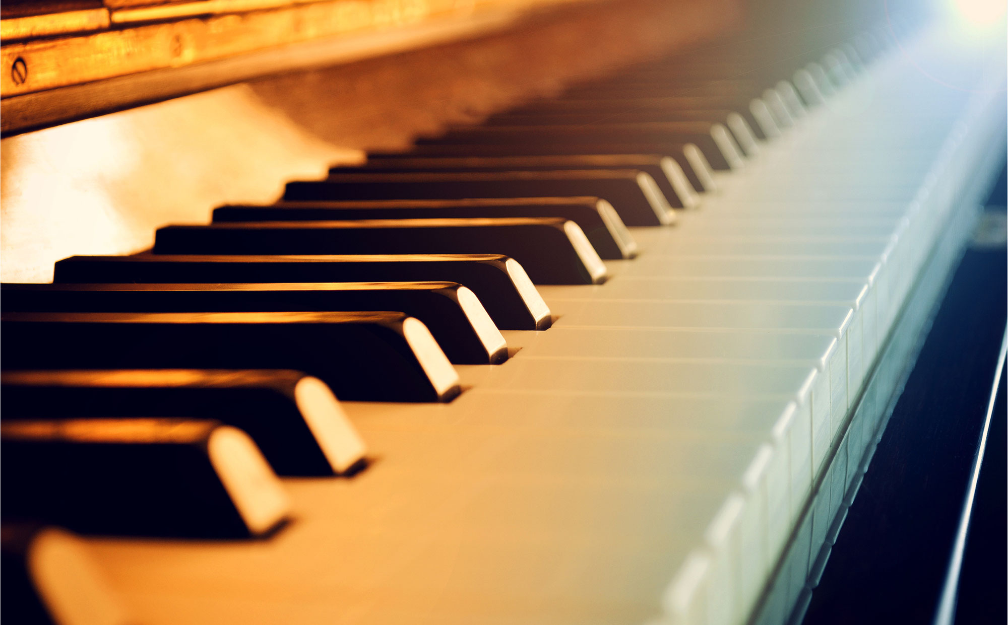 NightLine Pro 400 - Musikelektronik