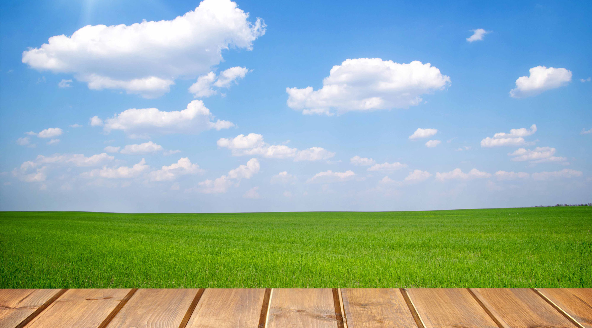 Jan Garden ...und ihr Garten pflegt sich selbt - Jan Garden - Gartenbau ...