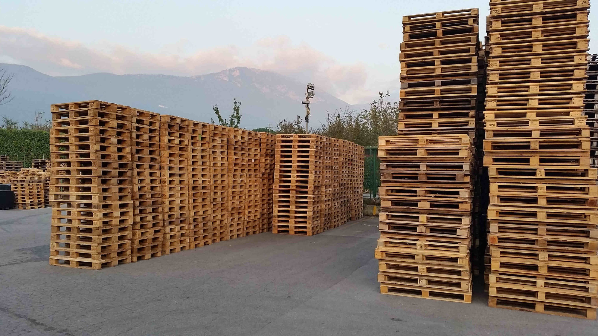 Azienda Eco-Pallets S.r.l. - Eco-Pallets S.r.l.