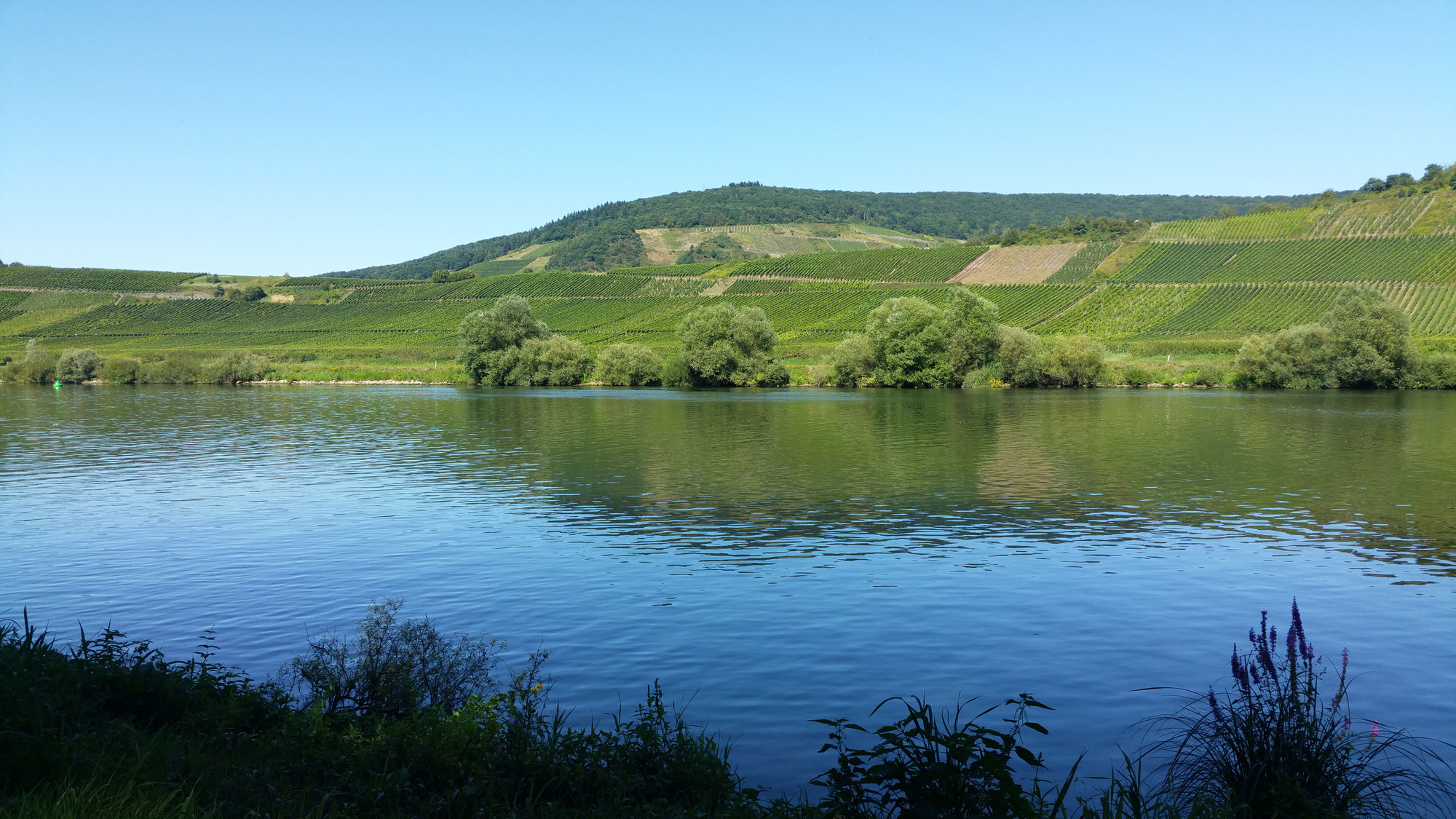 Fotogalerie Umgebung - Briedel Ferienhaus