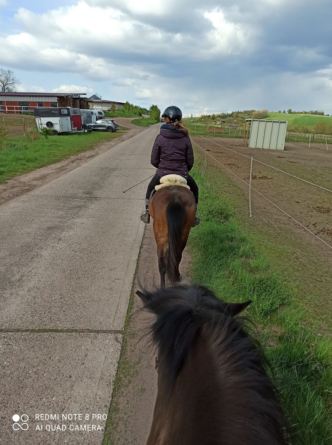 Pferdemenschen - pferdewirtin-sts Webseite!