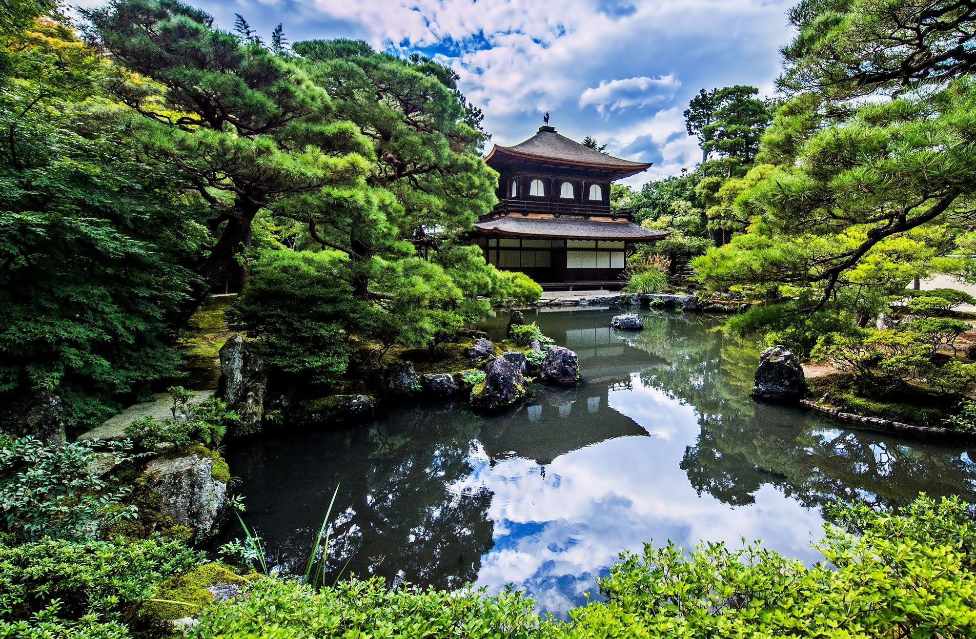 Koi-Travel-koireizen japan- Koi reizen Yoshikigoi..... - van de Waterhof!