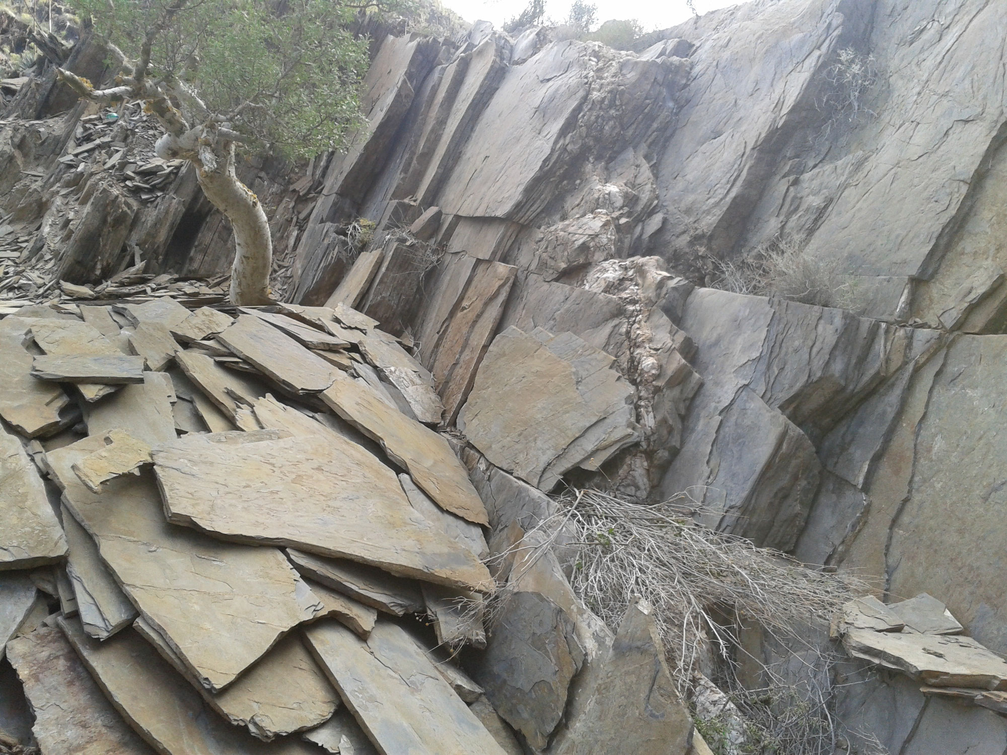 Tejas - Página web de huarachestonejrfg