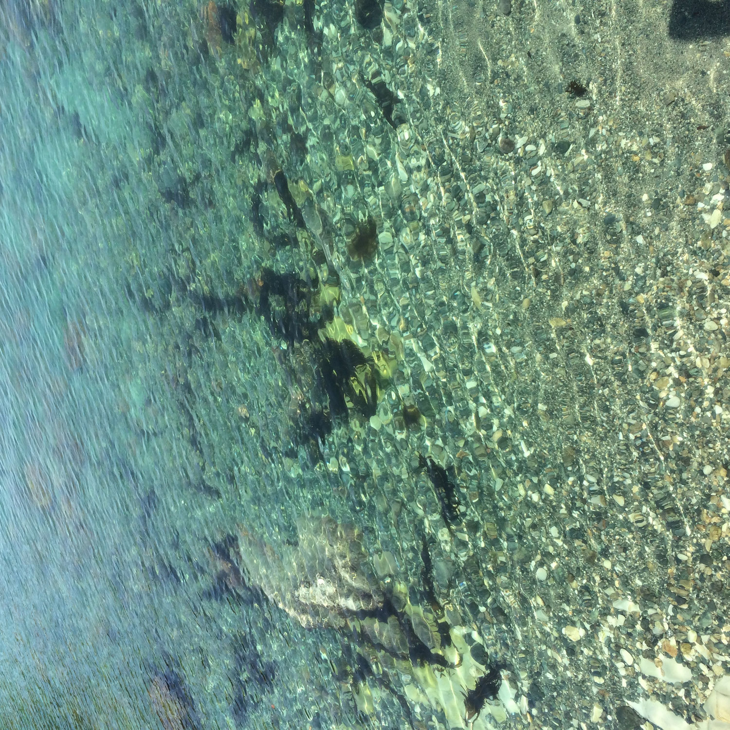 chainer.functions.bernoulli_nll - chainerfan ページ！