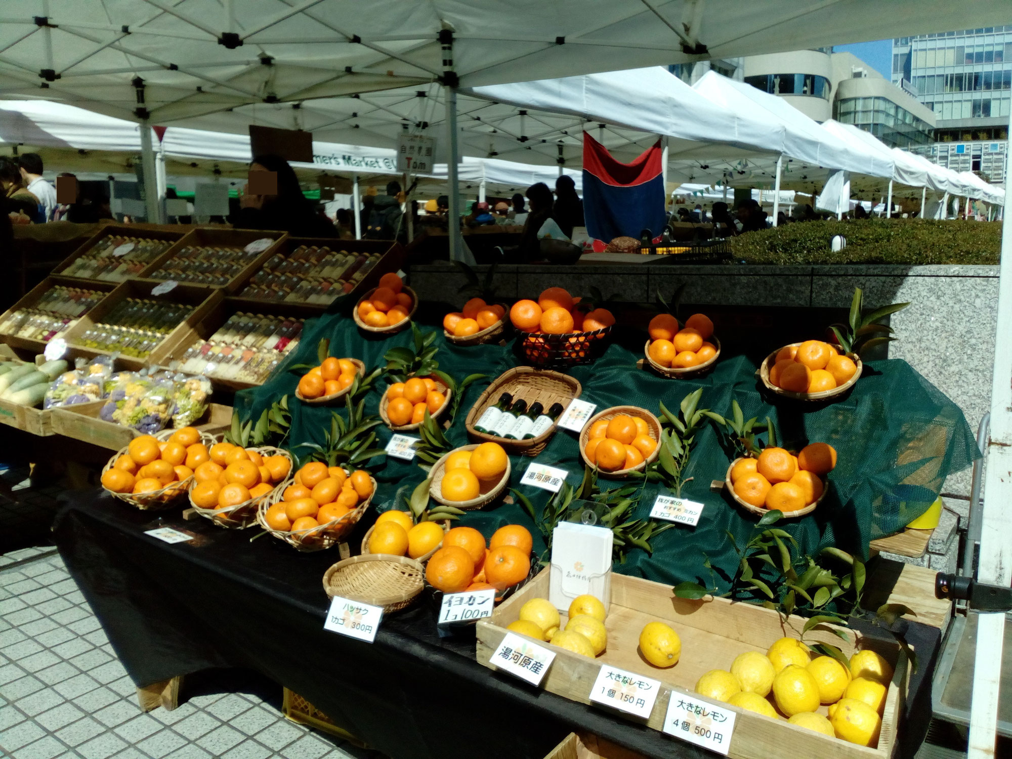 Programme - food-attributes ページ！