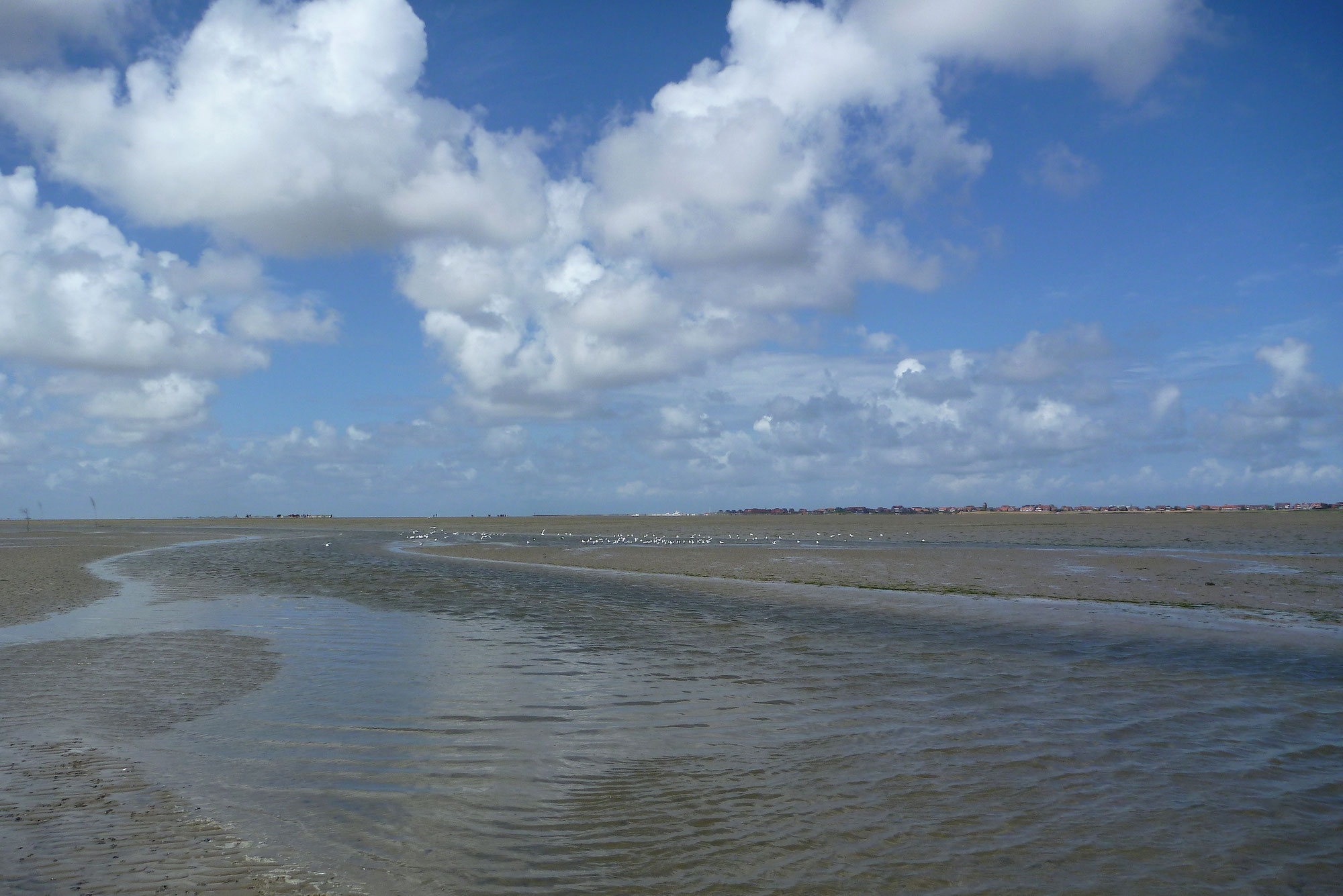 Ebbe und Flut an der Nordsee, Ursachen, Gezeiten, Springtiede ...