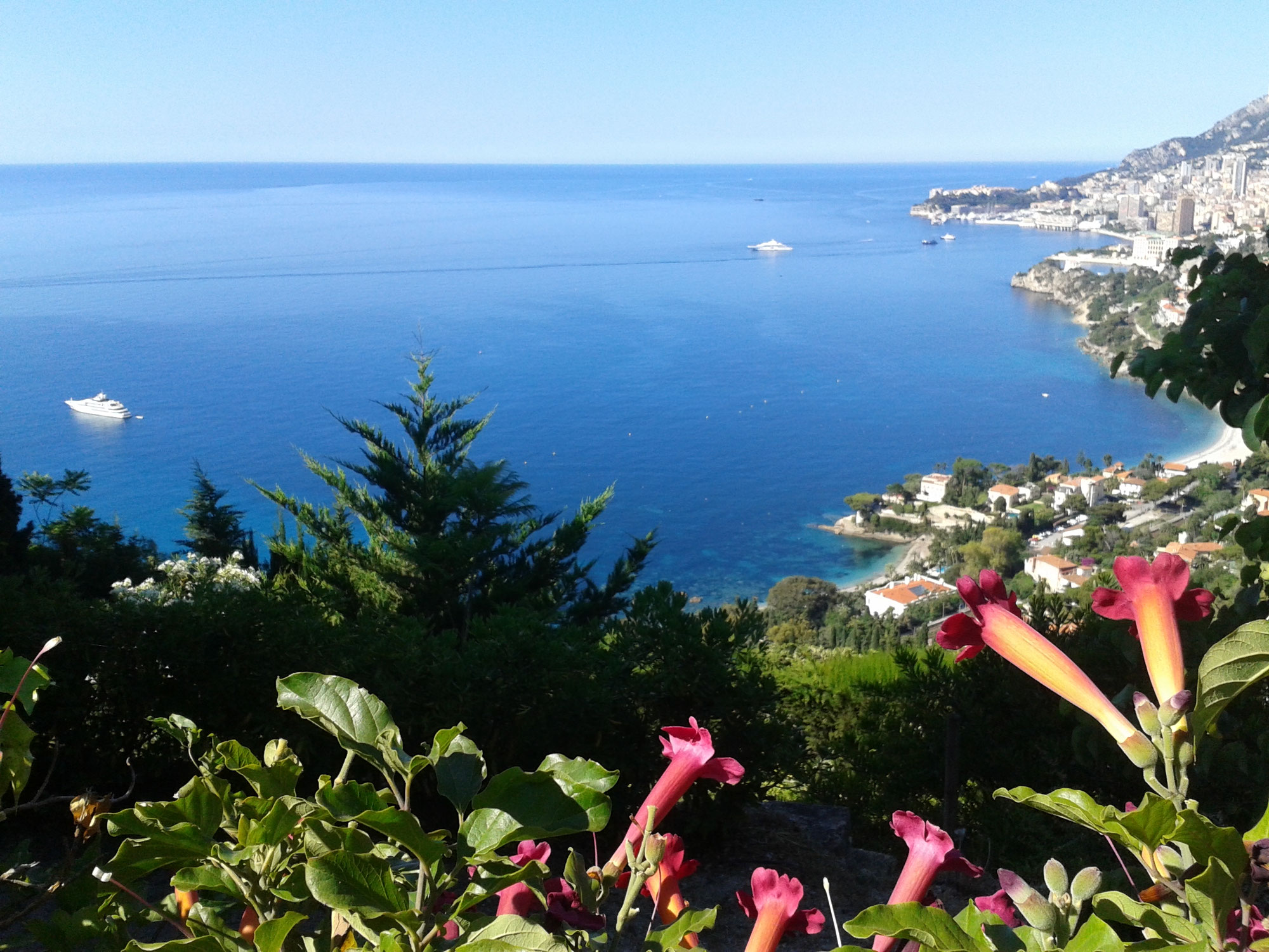 RM Wealth Management - Site de rmwm