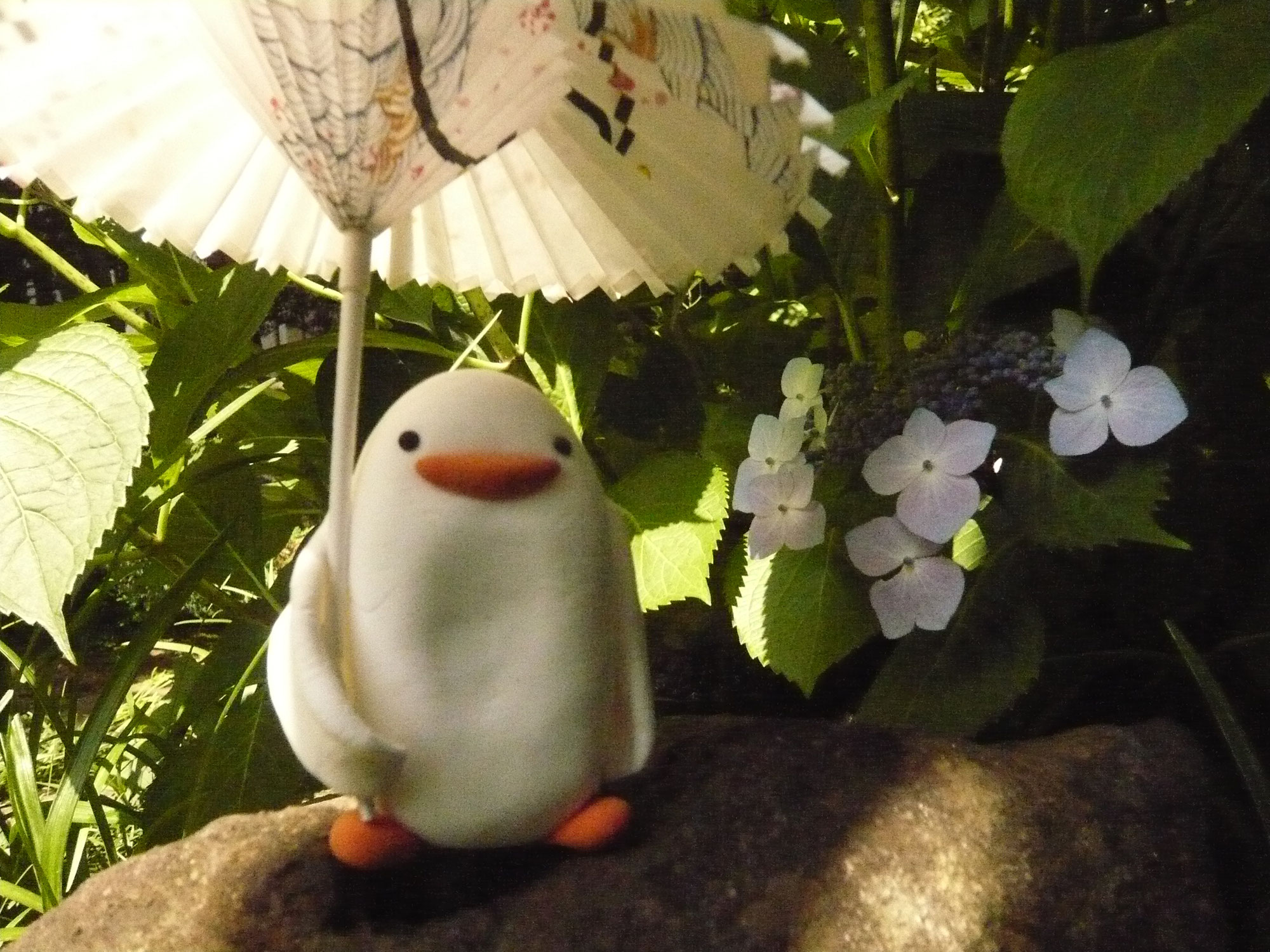 what's New - piyo-ru ページ！