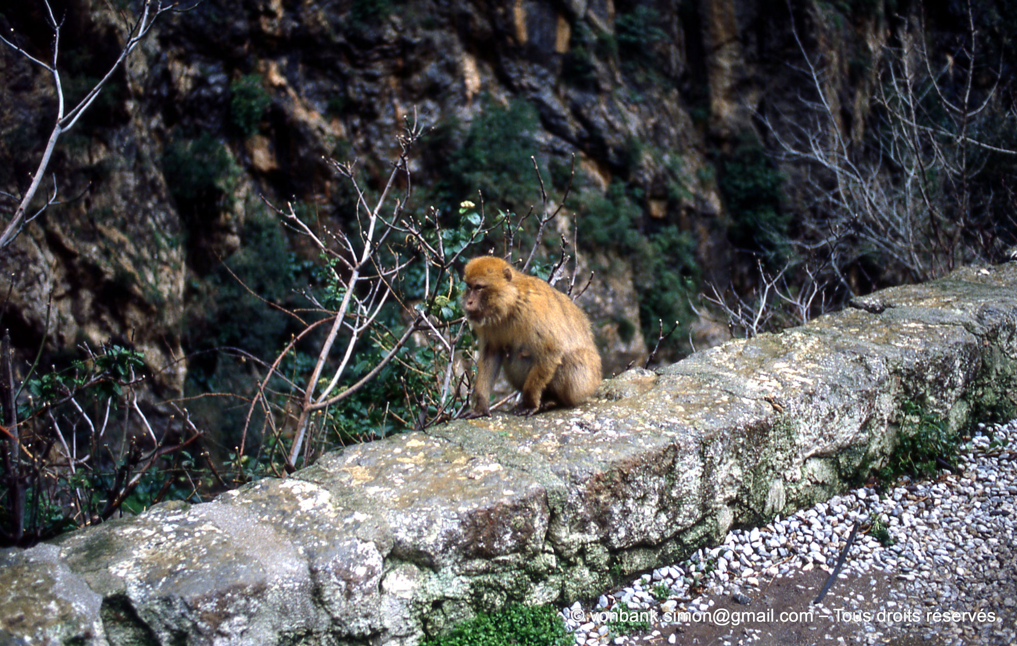 DZ - Kabylie - Kherrata - Photos de sites historiques et naturels du ...
