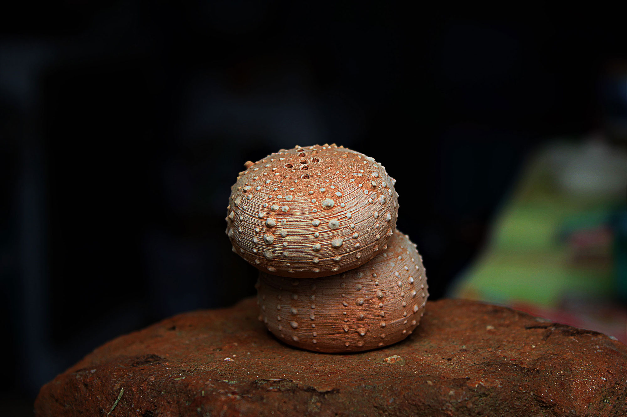 Artistic craftsmanship - Terra Fù