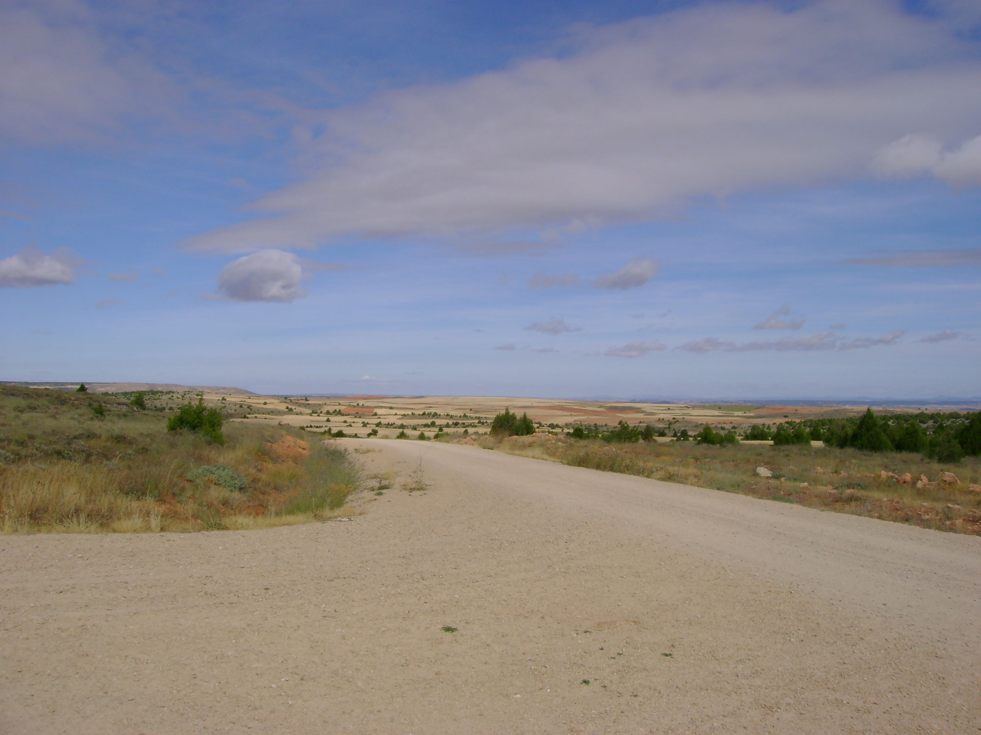El Desierto Página Web De Toremuzaxa