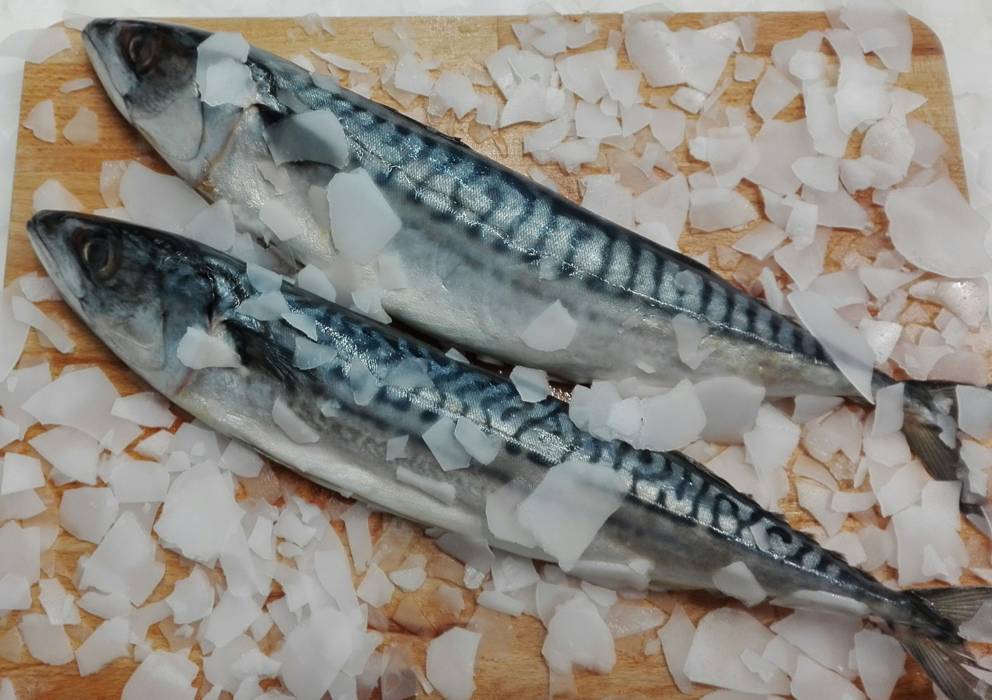 WITLINEK (MERLANGIUS MERLAngius ) - Ryby,owoce morza,przepisy i opisy.