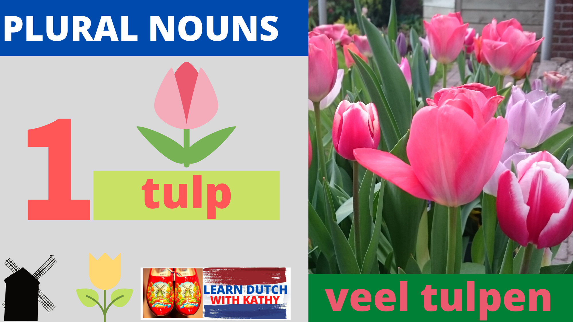 Dutch Grammar in Use! - De website van livinginthenetherlands!