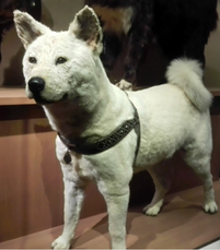 TOWN WALKING - Japan Tour Lab Top Page