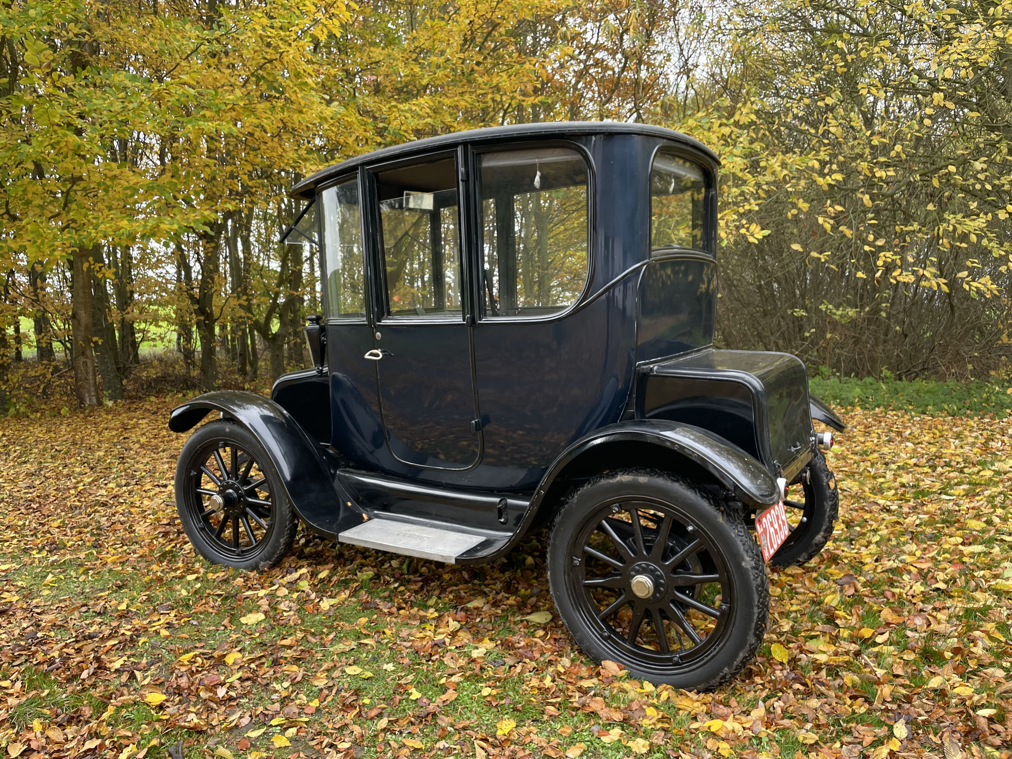 Detroit Electric - lifelike