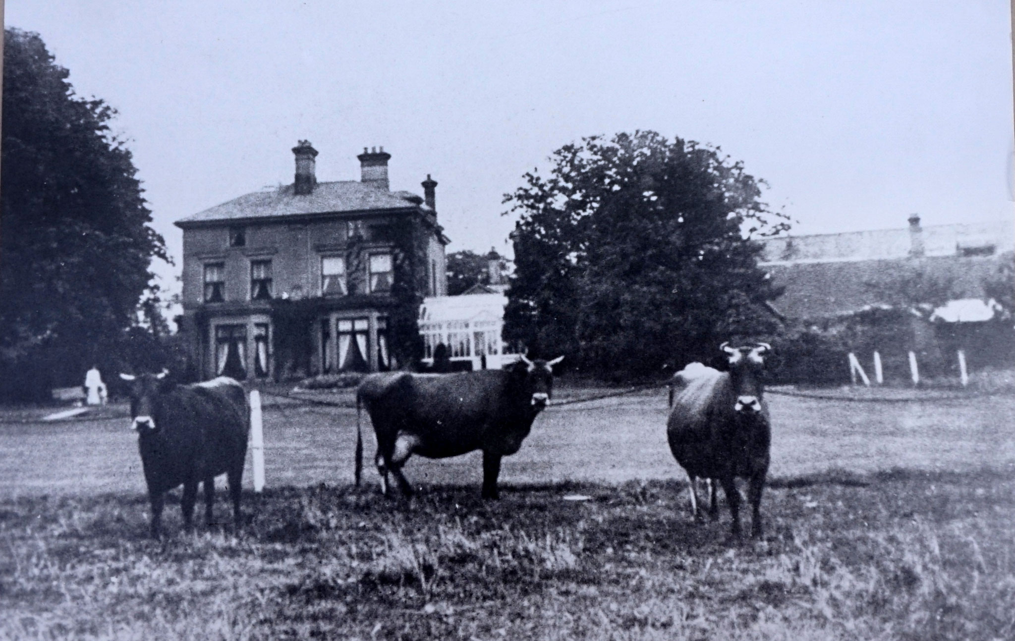 Timberley - History of Birmingham Places A to Y