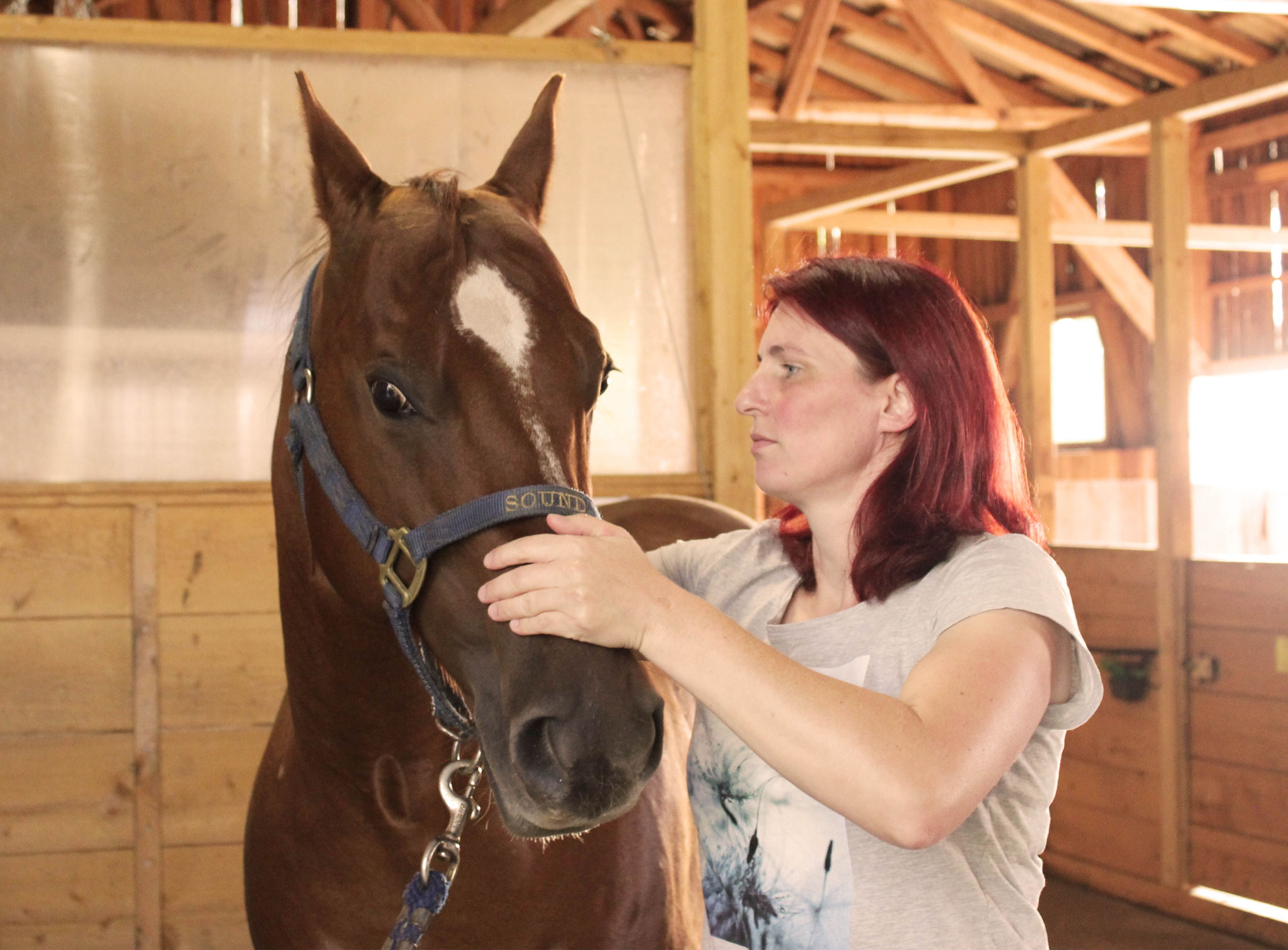 Therapie - pferde-reha-roslass Webseite!