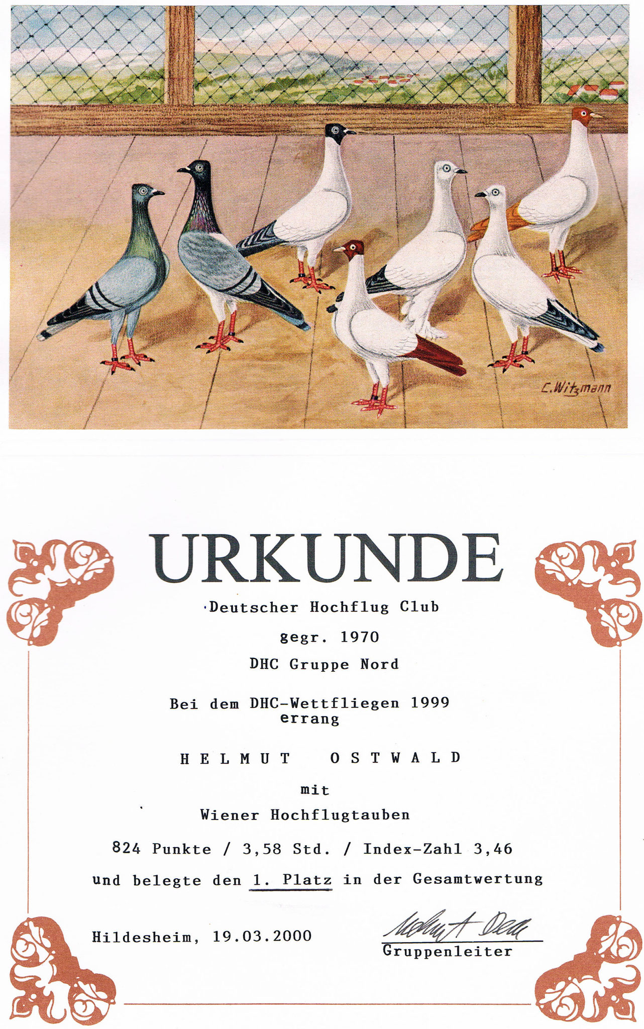 Wiener Hochflieger - Wiener Hochflugtauben