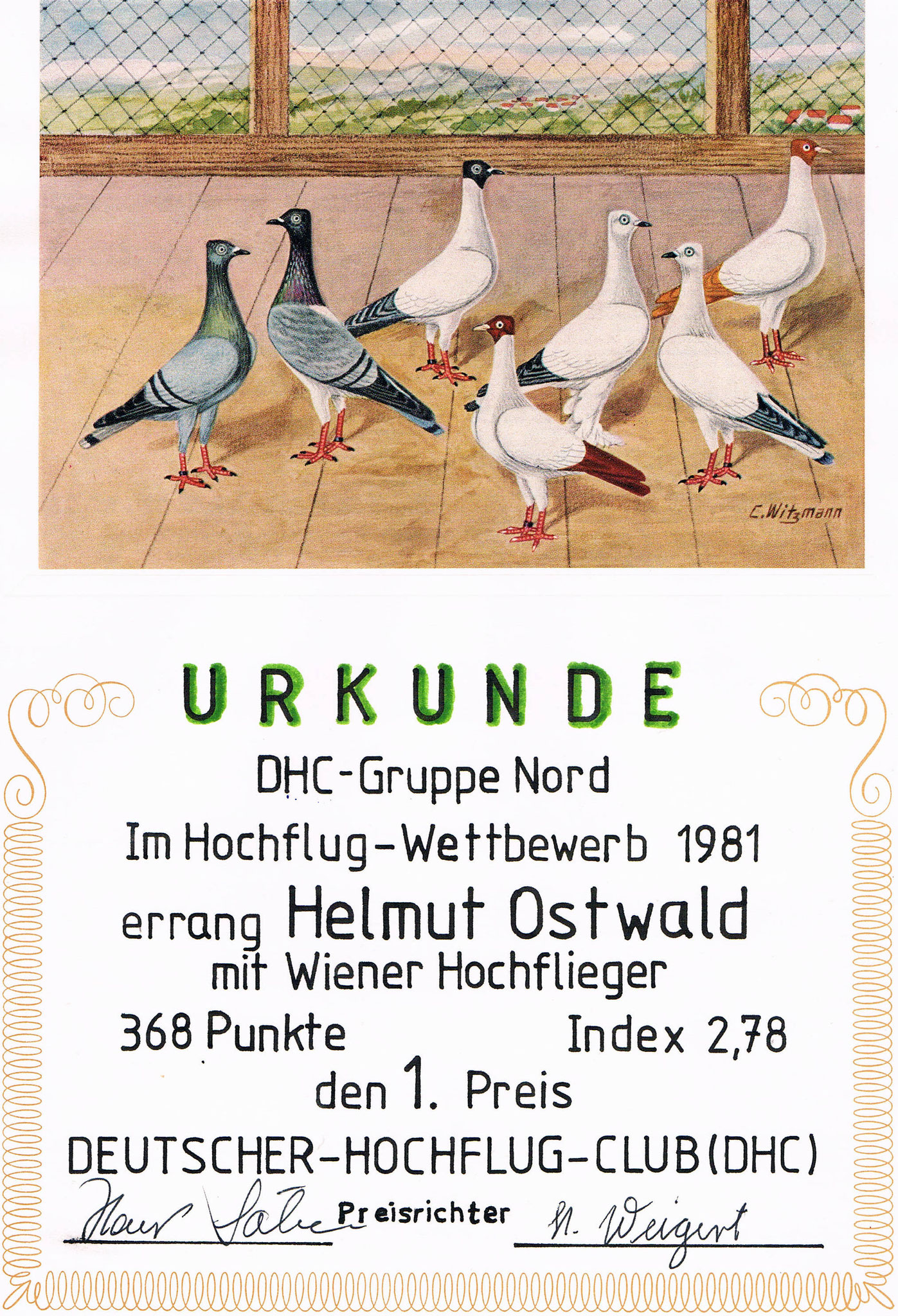 Wiener Hochflieger - Wiener Hochflugtauben