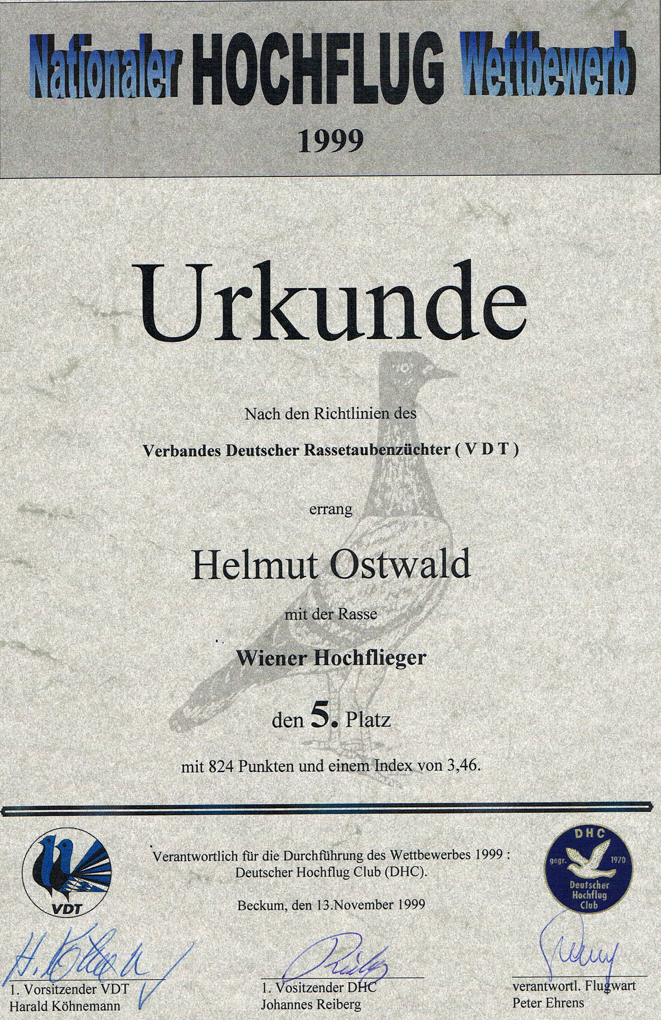 Wiener Hochflieger - Wiener Hochflugtauben
