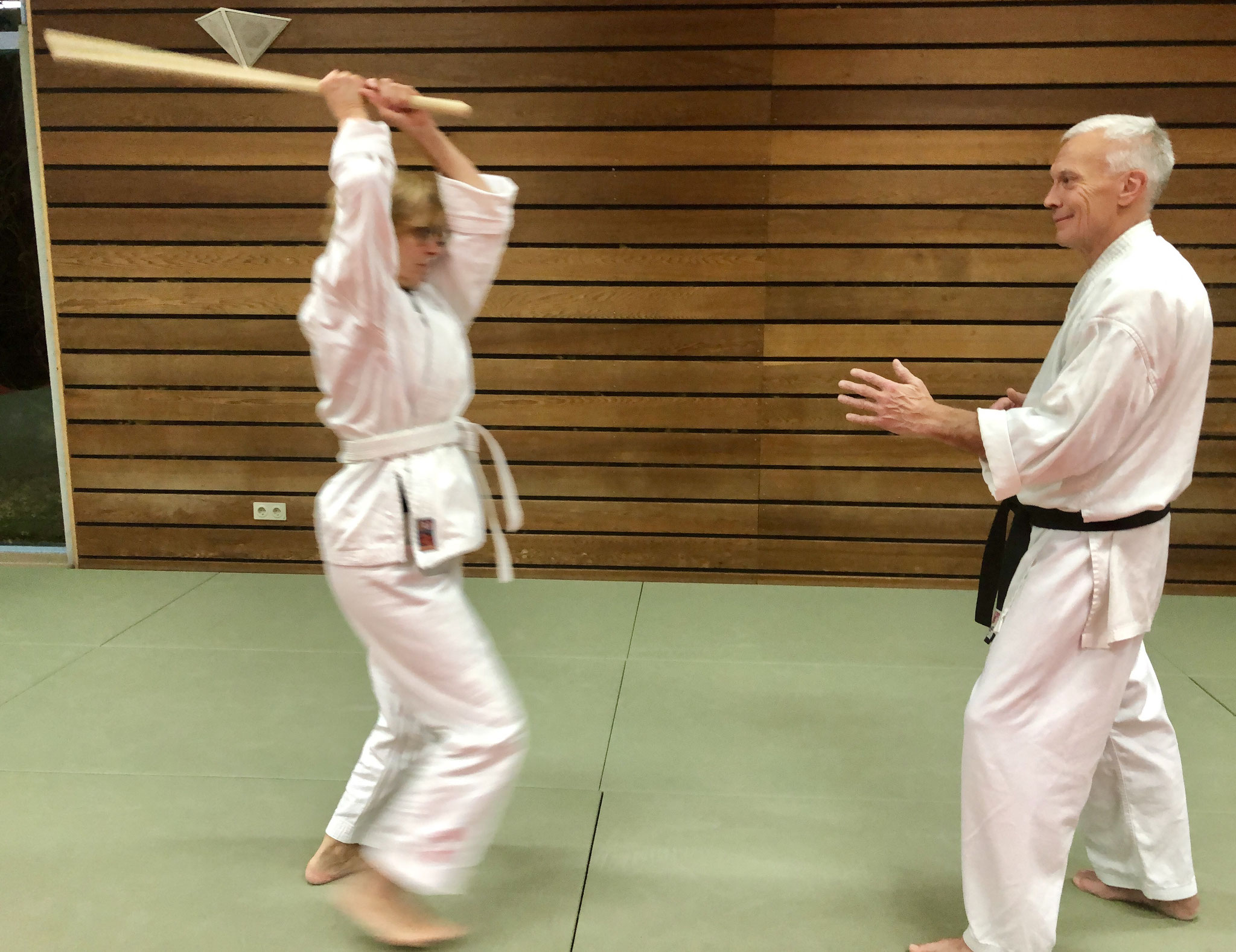 Ein paar Eindrücke aus dem Hanbo-Jutsu-Training... - PSV Saar Ju-Jutsu ...