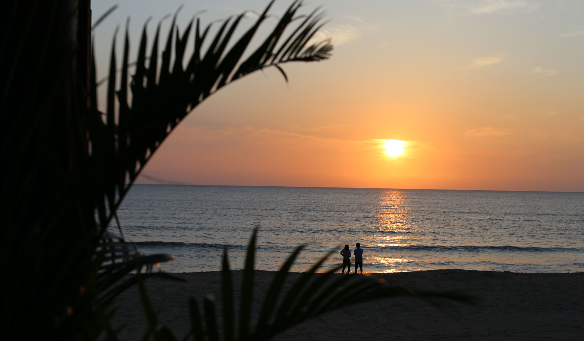 福間海岸組合「福津ビーチ倶楽部」公式サイト - FUKUTSU BEACH CLUB（福津ビーチ倶楽部）