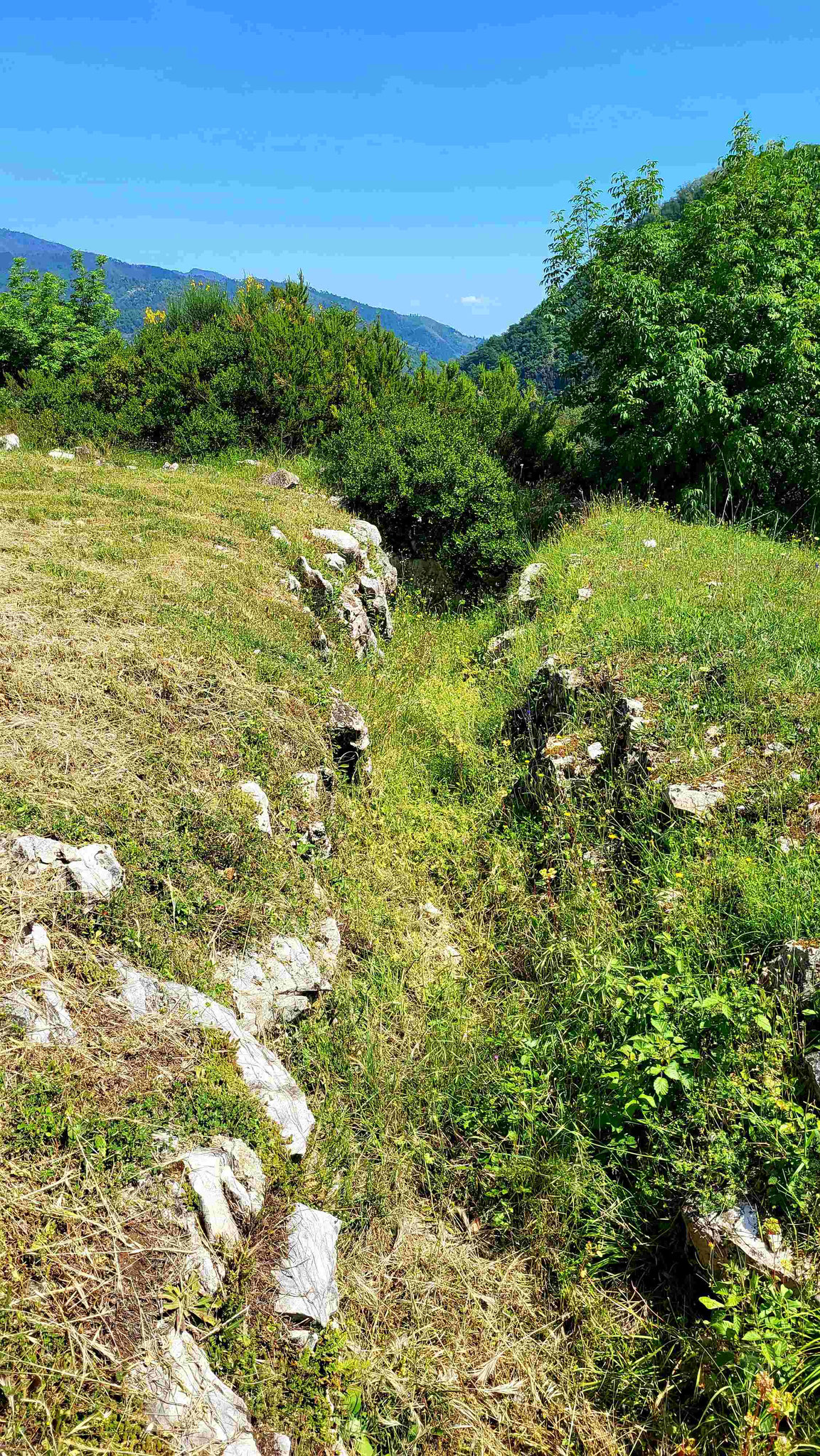 Fighting in the Serchio Valley - standwheretheyfoughts jimdo page!