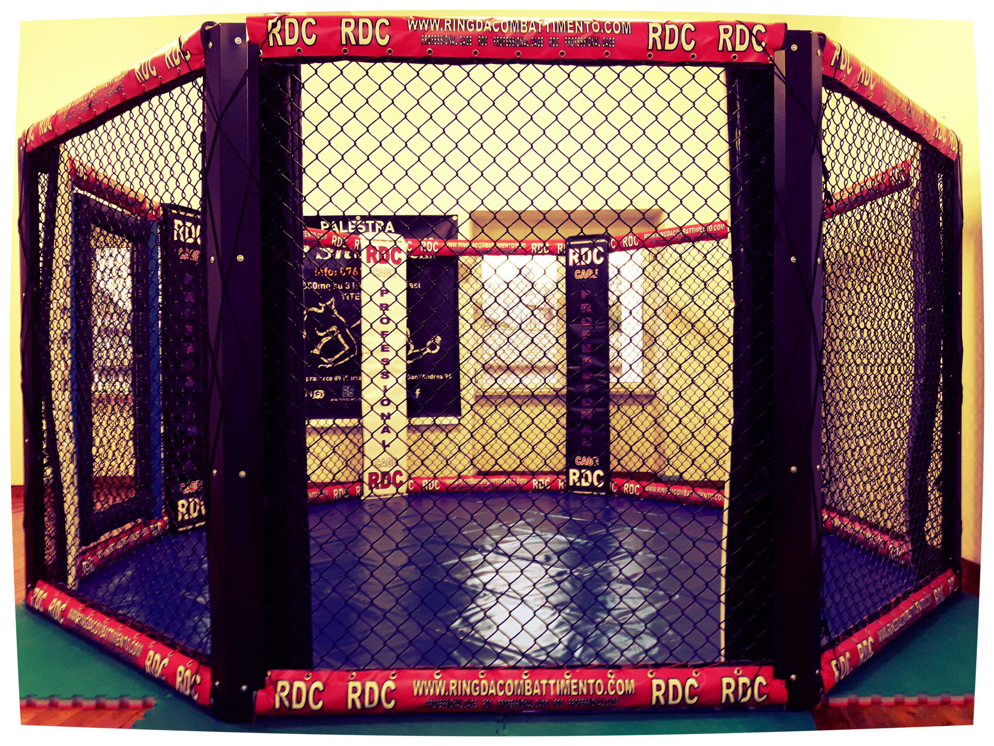 VENDITA GABBIE DA MMA - RDC - VENDITA RING DA BOXE, MUAY THAI, GABBIE ...