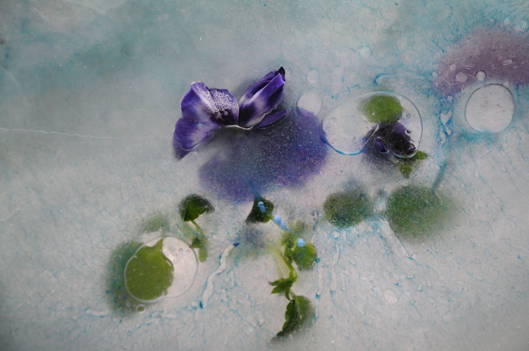 Nouvelle page - Site de laurenceiferganphotographe