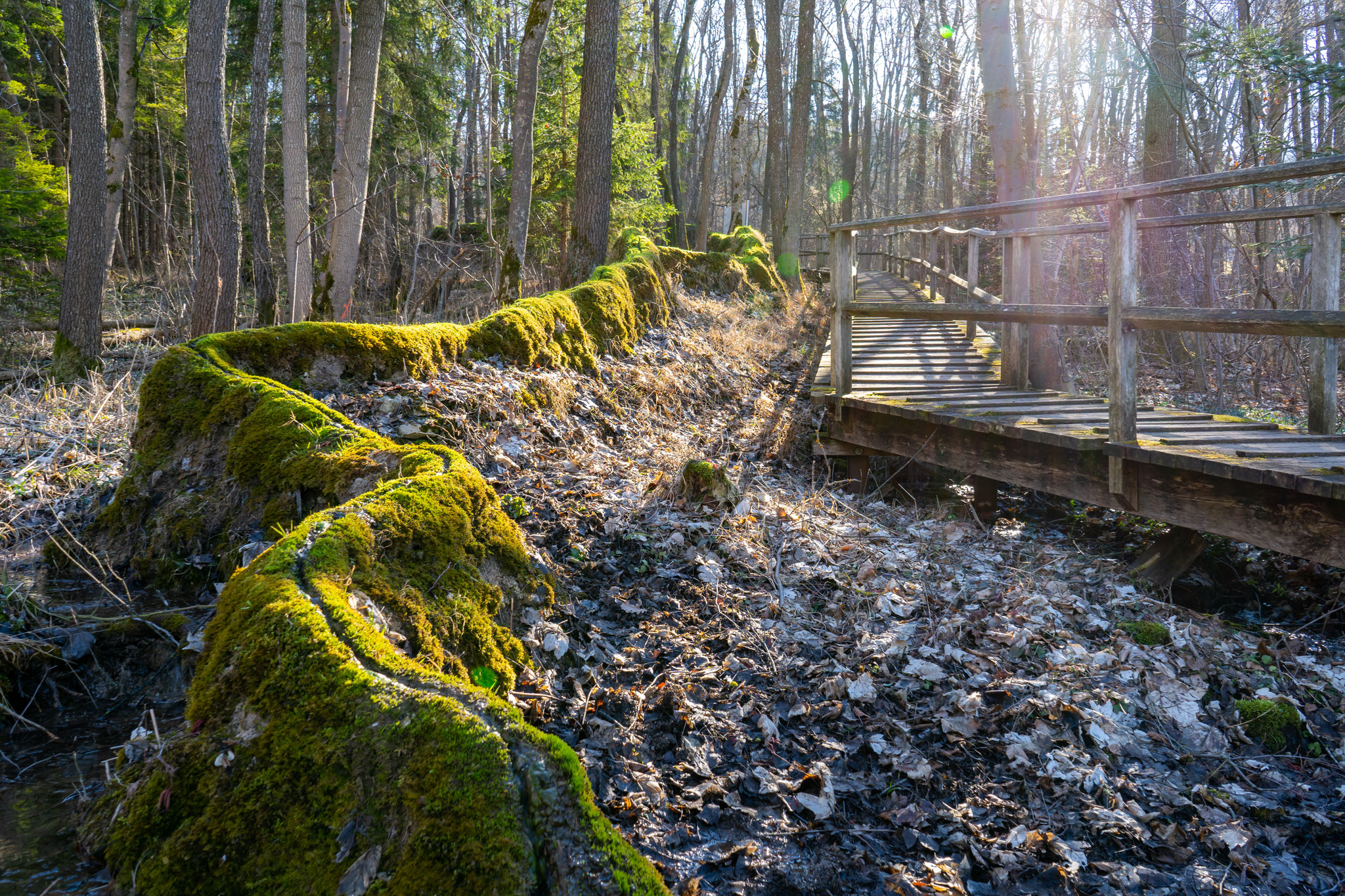 Steinerne Rinne Ettenstatt/Rohrbach - GEO-Drohne