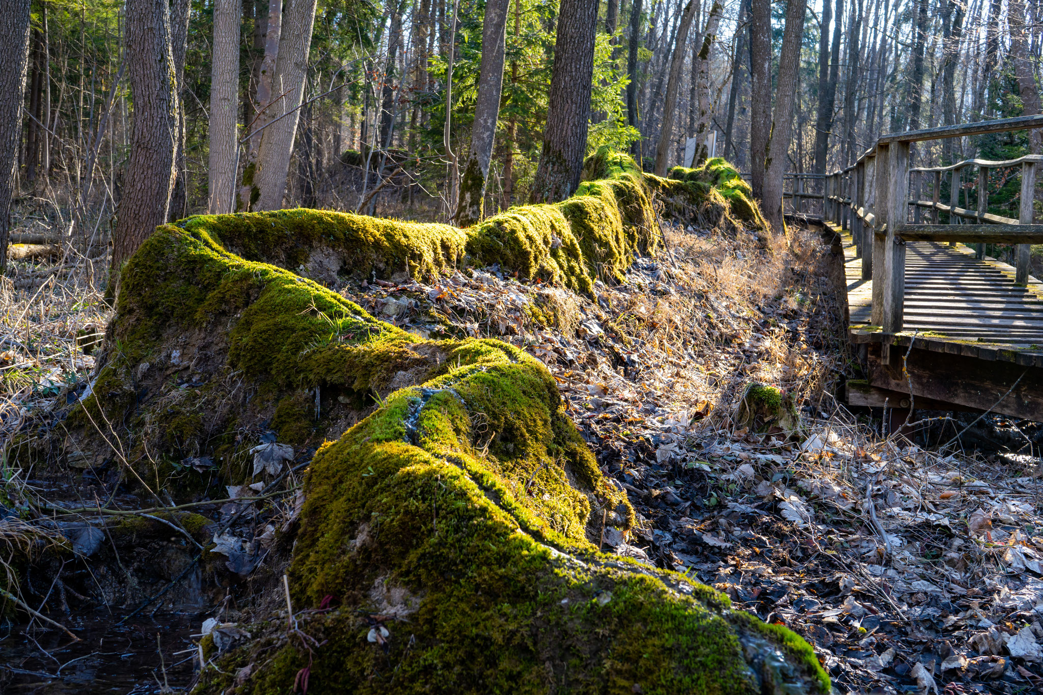 Steinerne Rinne Ettenstatt/Rohrbach - GEO-Drohne